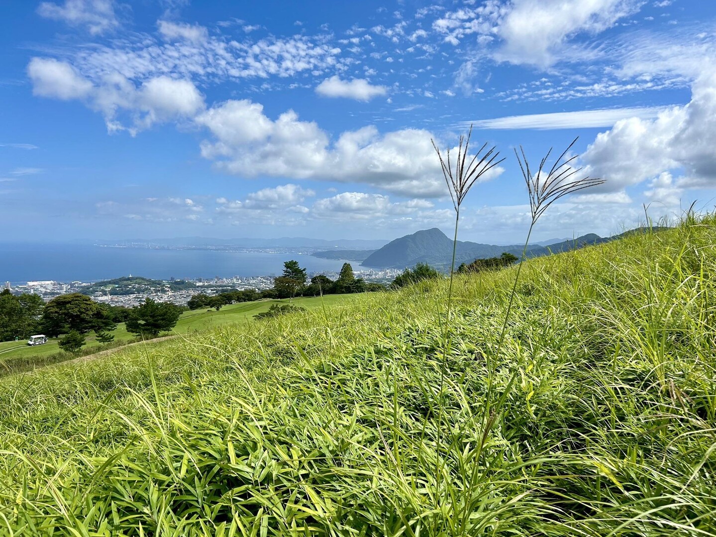 秋のぐるり周回((´∀`*))扇山 / datinさんの由布岳・鶴見岳の活動データ | YAMAP / ヤマップ