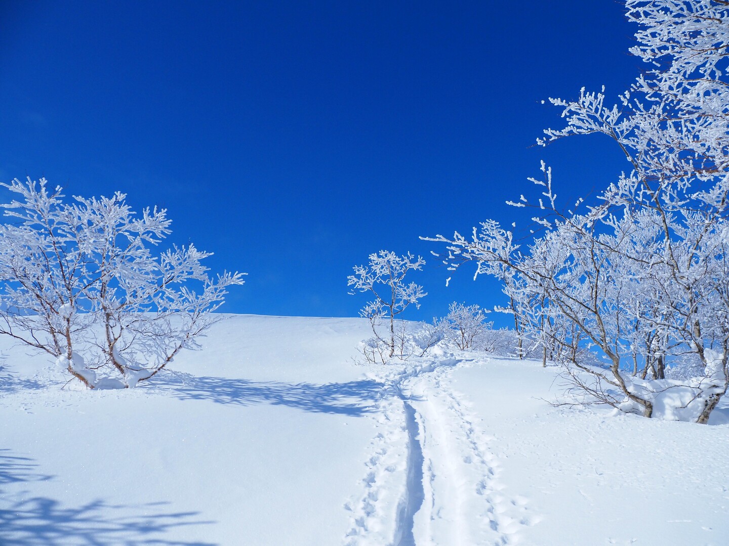 貝吹岳 - ️スノータイムシンデレラ 2nd / k- タカシさんの秋田駒ヶ岳・男女岳・貝吹岳の活動データ | YAMAP / ヤマップ