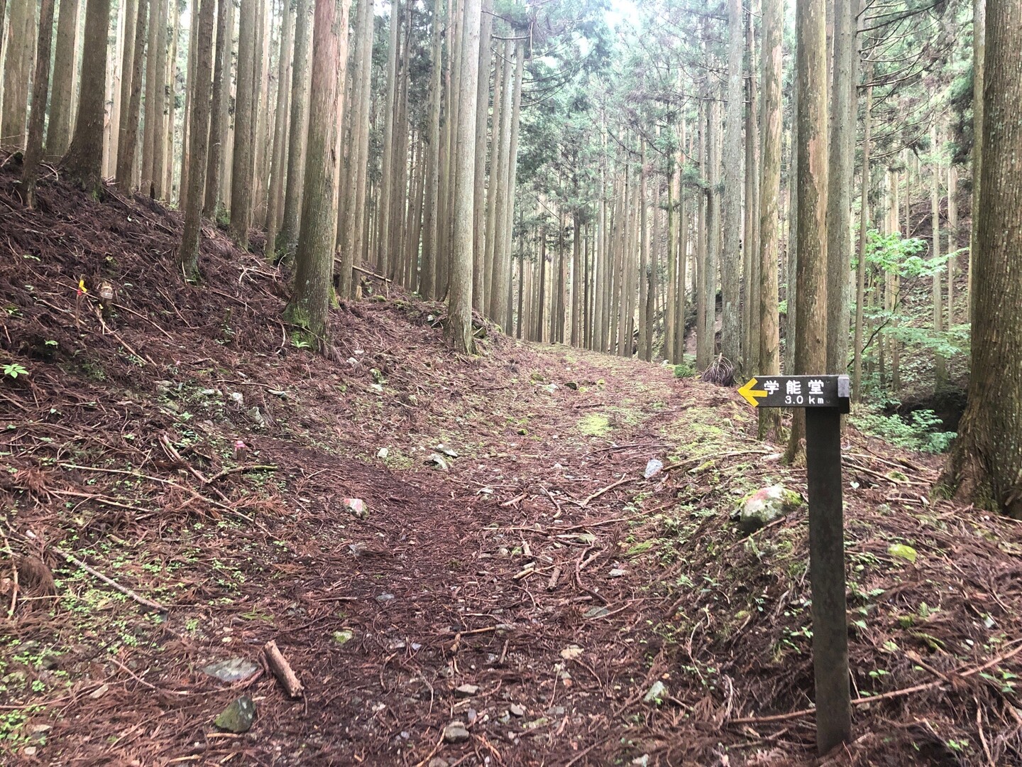 かるがも隊さんの投稿したフィールドメモ | YAMAP / ヤマップ