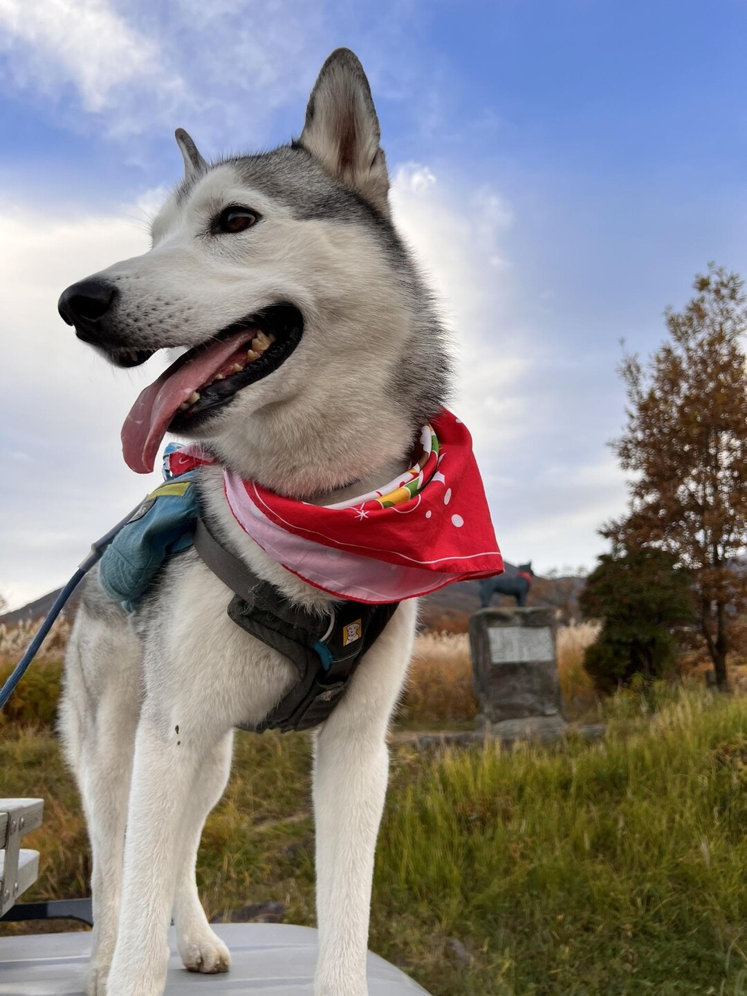 かしゅがるくん 会えてとっても興奮しまし... / TANAKAさんのモーメント | YAMAP / ヤマップ