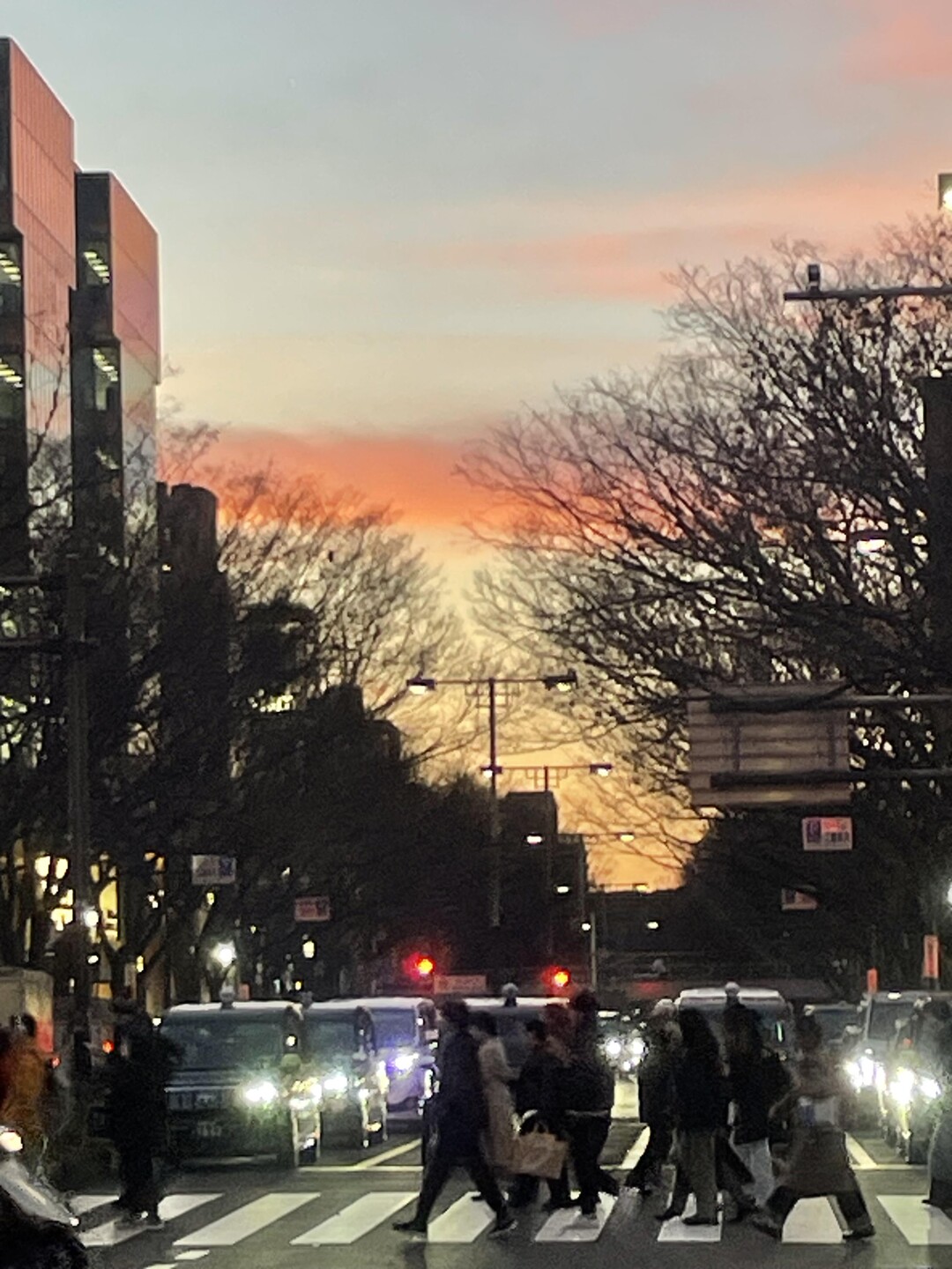 Beautiful sunset in ... / SORAさんのモーメント | YAMAP / ヤマップ