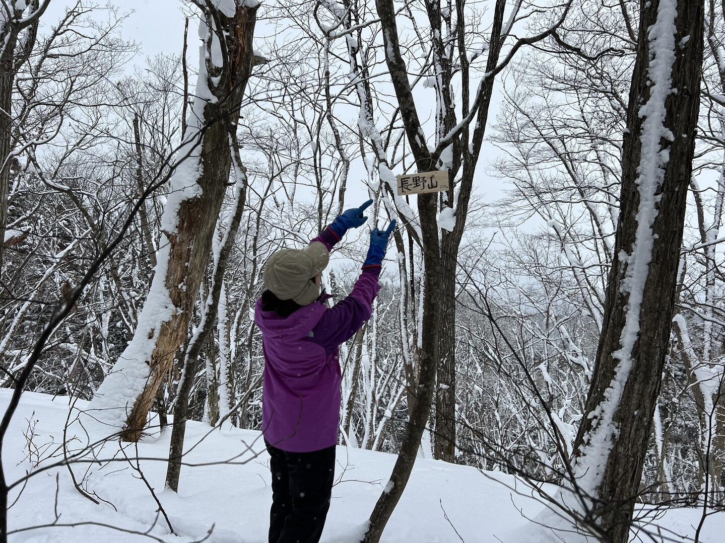 長野山 / papaさんの大平山の活動データ | YAMAP / ヤマップ
