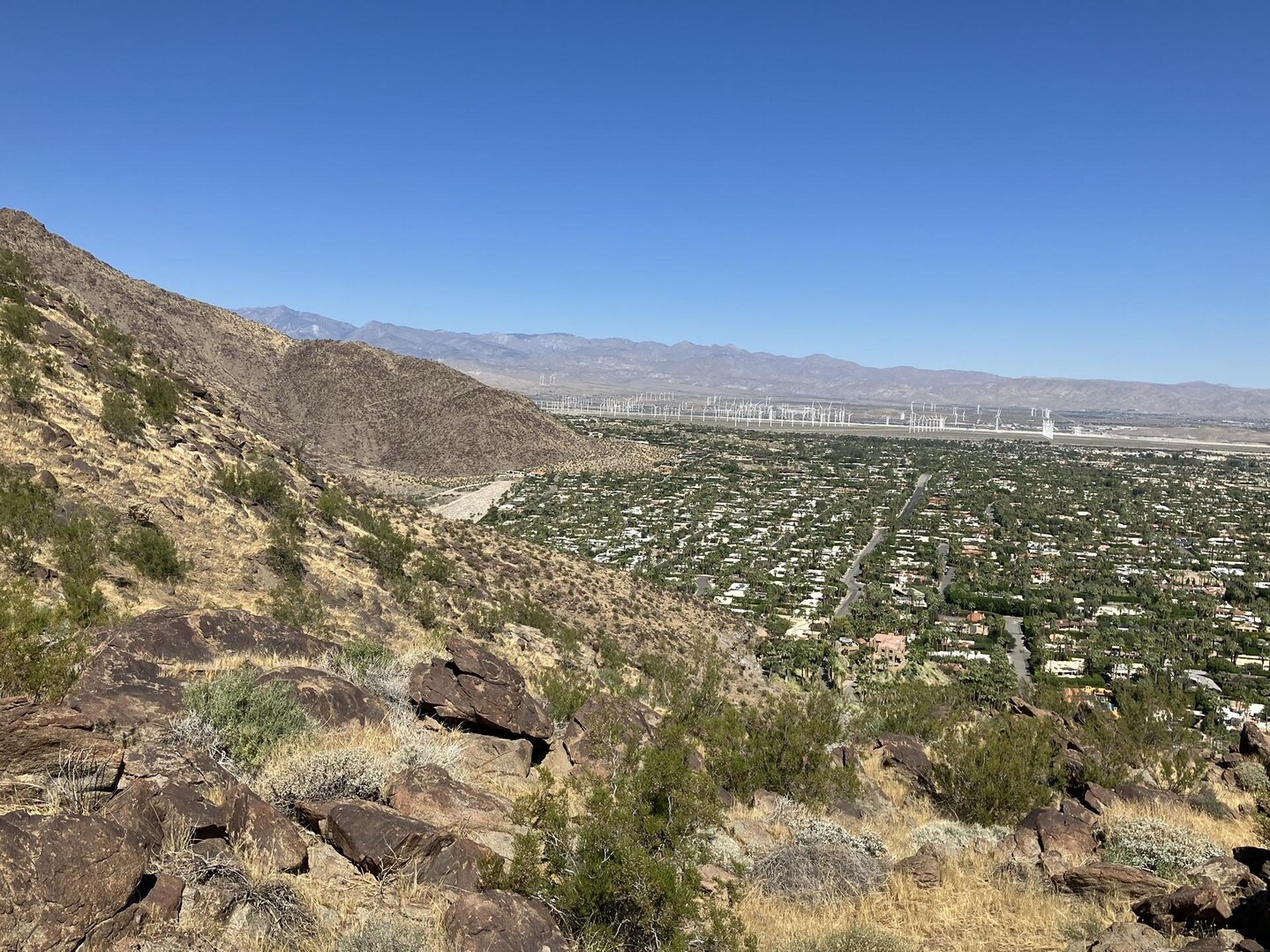 Museum Trail, Palm Springs -2023-10-08 / Mayさんのジョシュア・ツリー国立公園の活動データ | YAMAP / ヤマップ