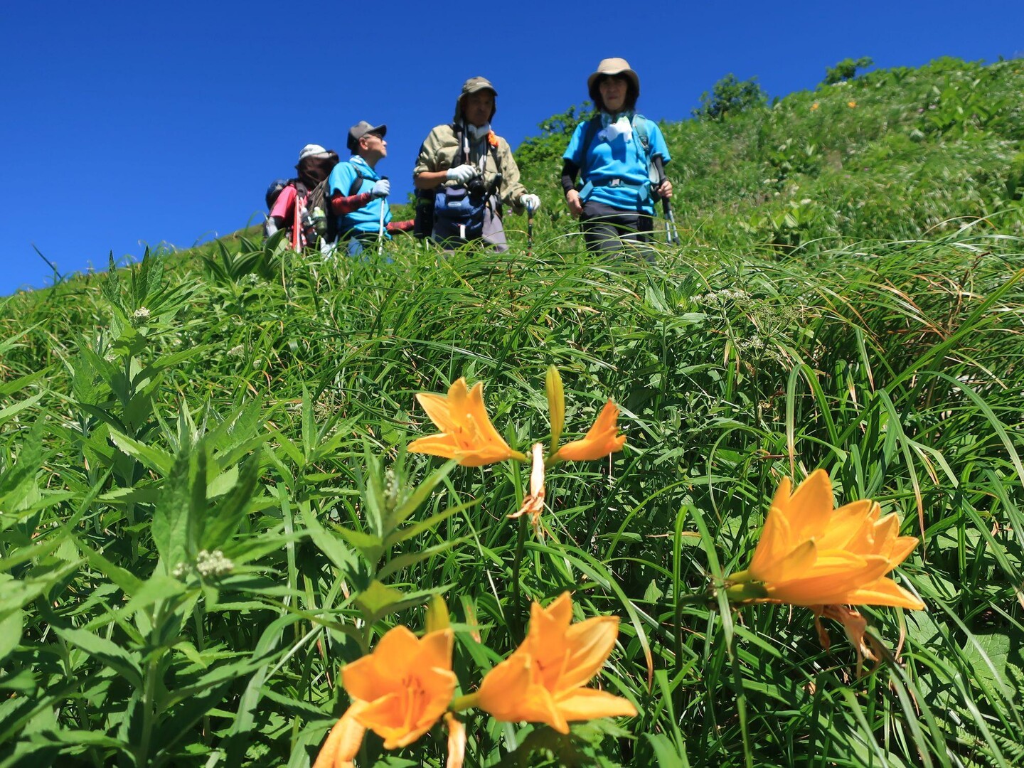 白山Week最後はお池巡りコース巡視活動 / keikoさんの白山・別山・銚子ヶ峰の活動データ | YAMAP / ヤマップ