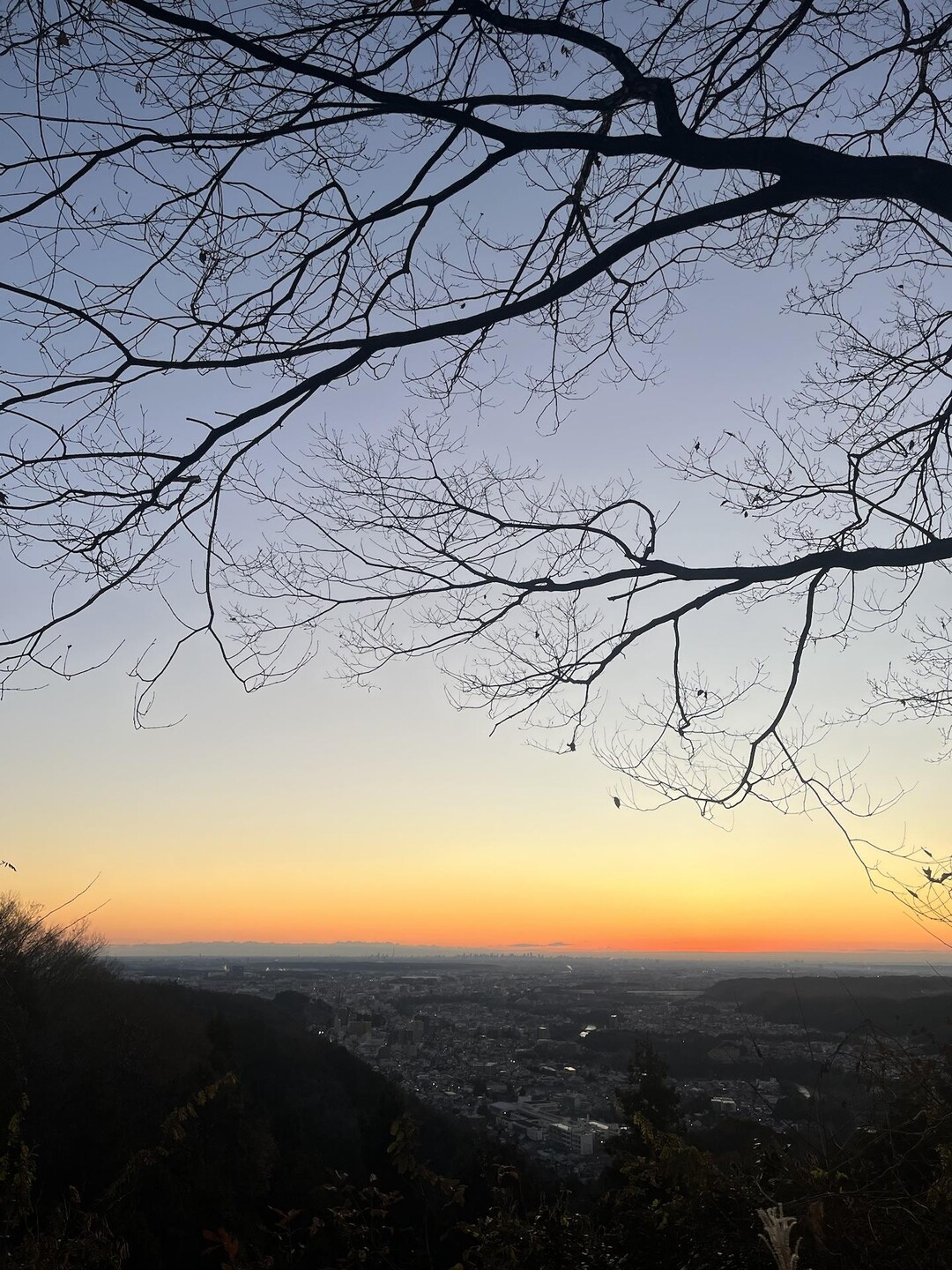 青梅周回 / fumさんの赤ぼっこの活動日記 | YAMAP / ヤマップ