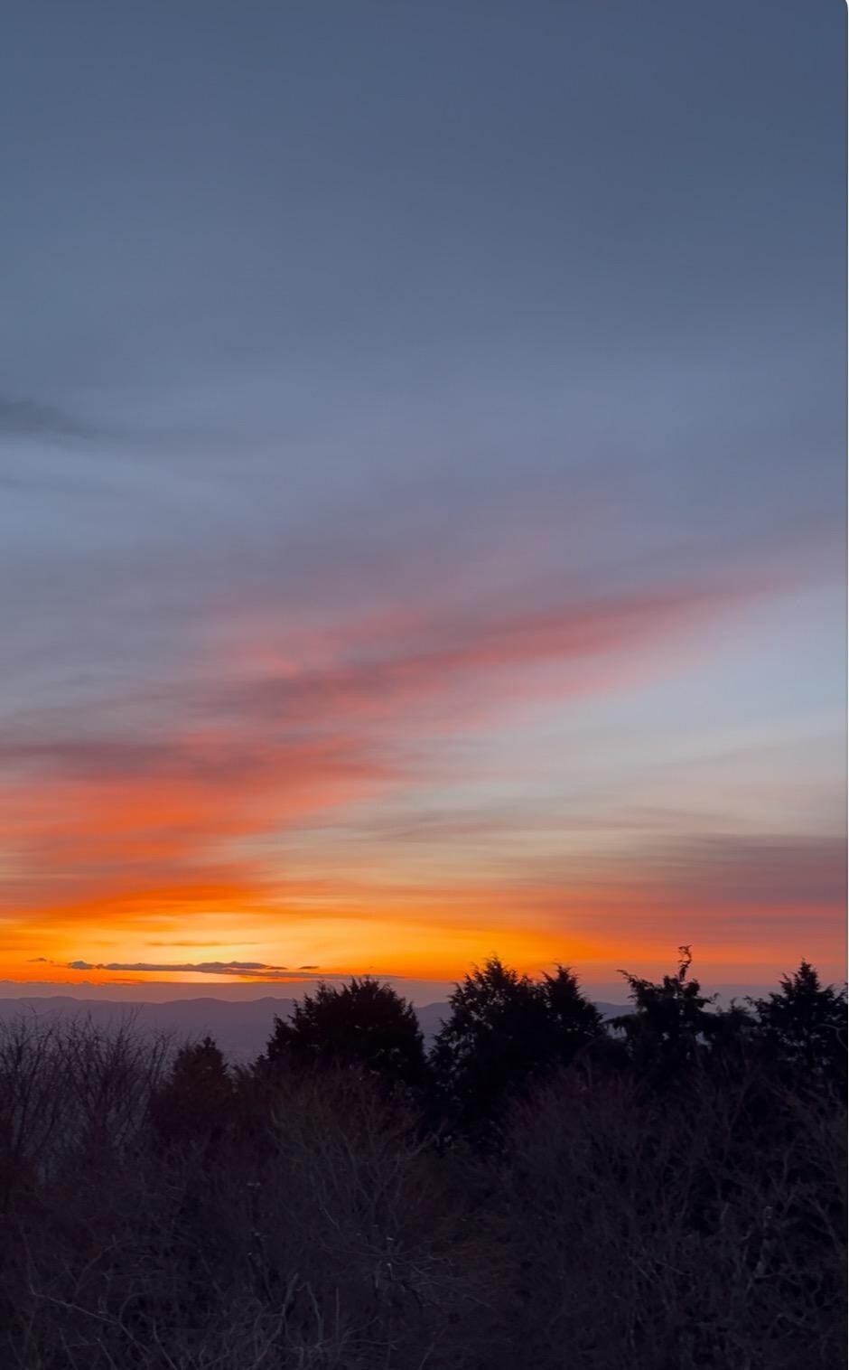 この冬は真っ暗ななか、 堀坂山登ってまし... / mihoさんのモーメント | YAMAP / ヤマップ