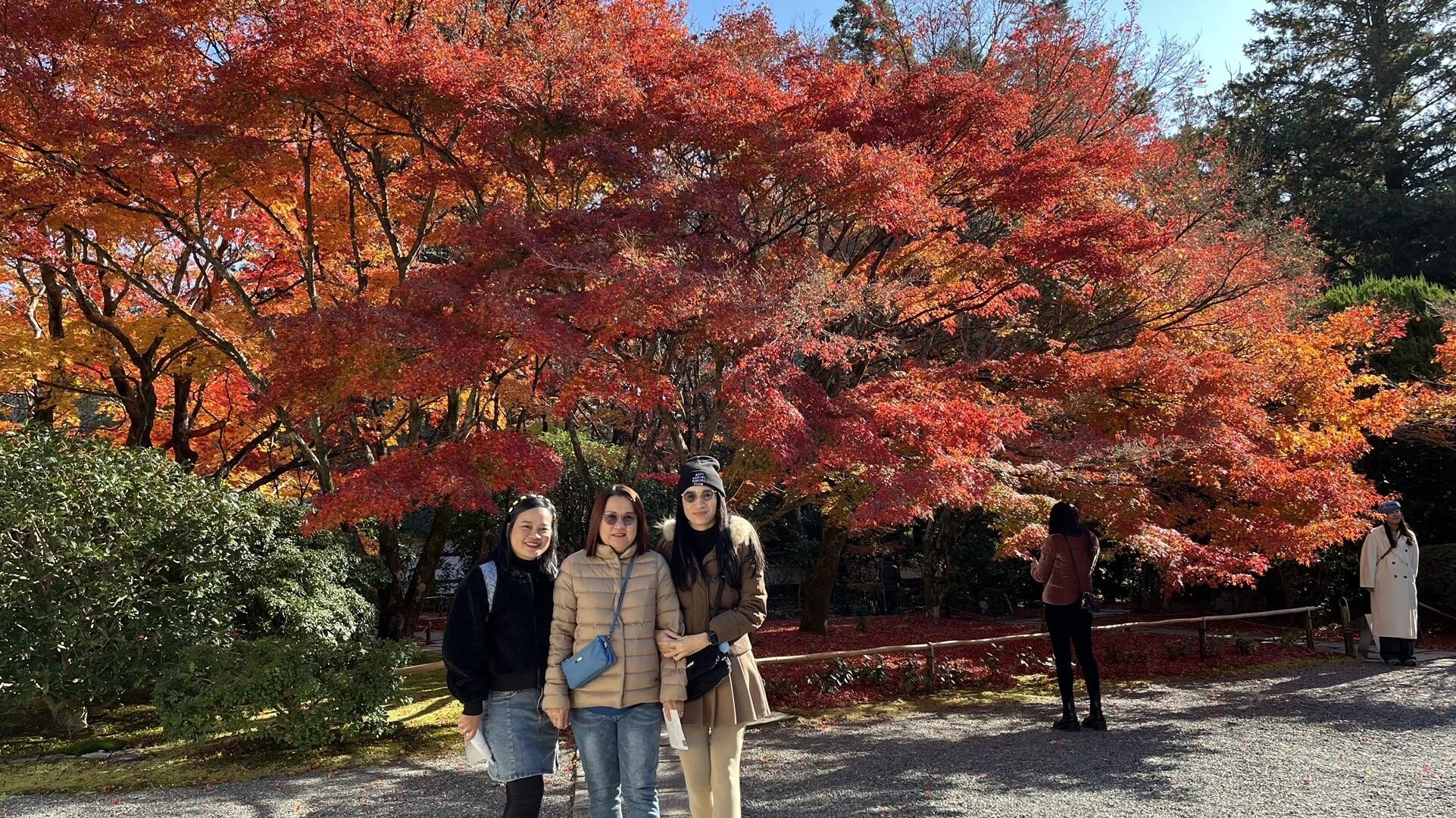 西芳寺(苔寺) タイから来た3名を案内し... / ARAIさんのモーメント | YAMAP / ヤマップ