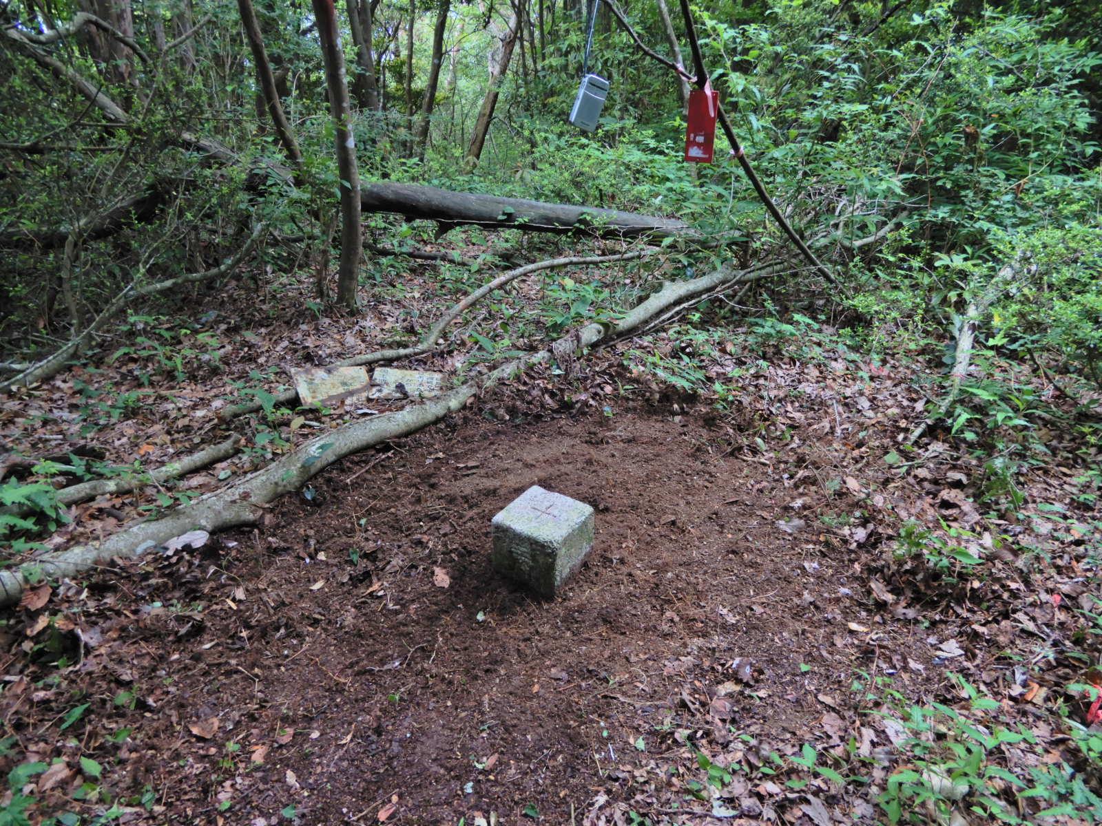 栃原山（阿武郡阿武町） / Ryu 🐉さんの犬鳴山の活動日記 | YAMAP / ヤマップ