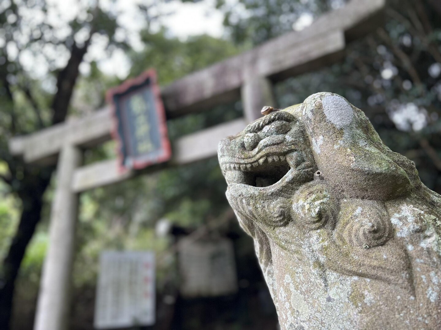 大麻山 / 1091maruさんの大麻山・天円山の活動データ | YAMAP / ヤマップ