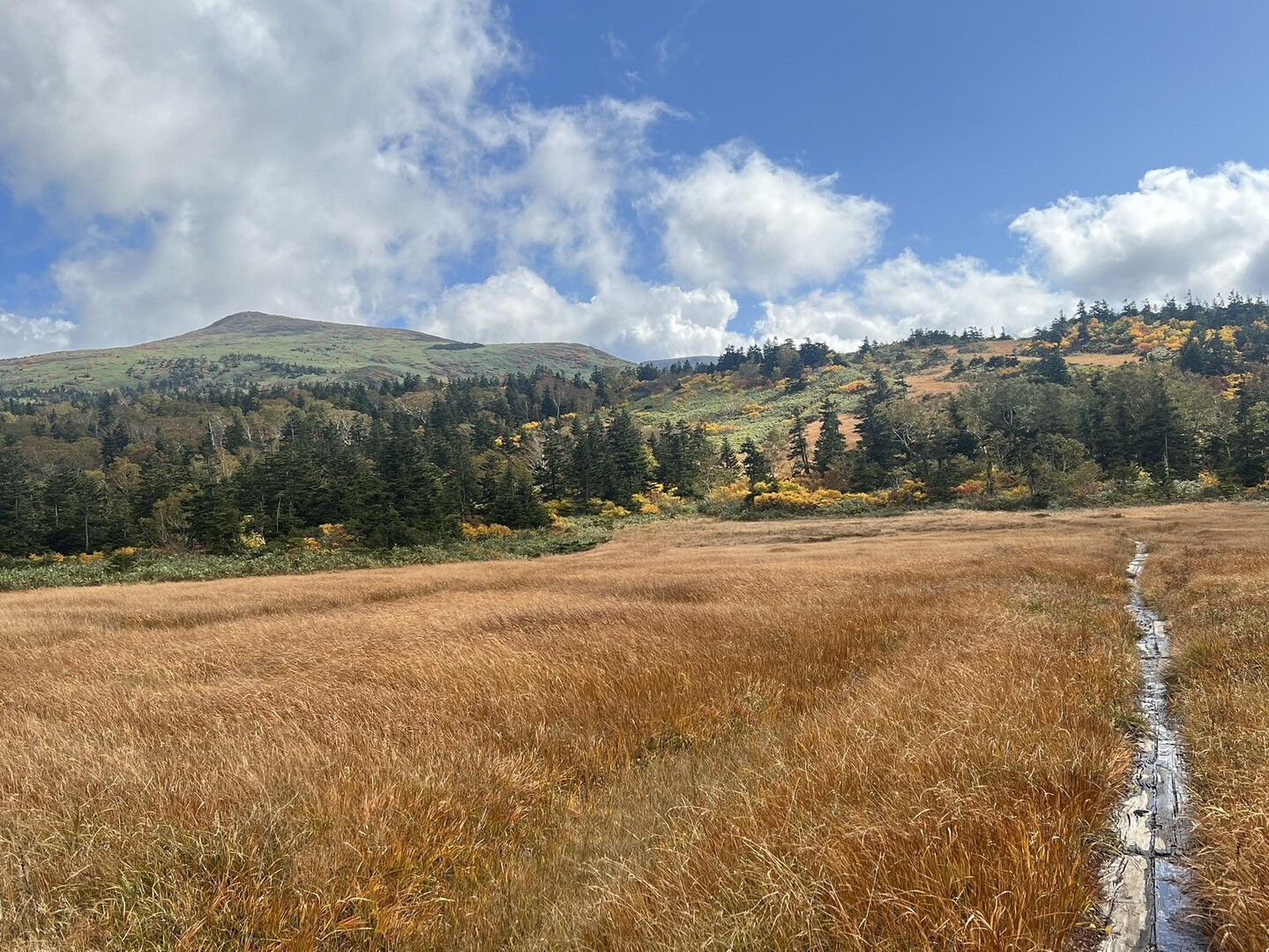 【秋田・大白森⇨乳頭山】蟹場温泉より時計回り周回 / yanagi_outdoorさんの乳頭山・湯森山・大白森の活動データ | YAMAP / ヤマップ