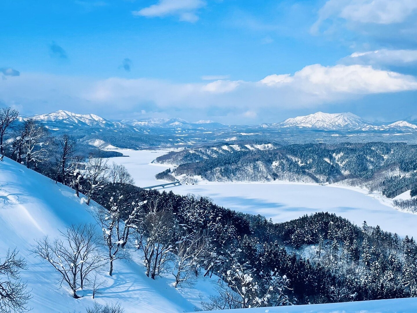 森の賢者いずこ🪶ふくろう山 / MINTさんの神居尻山・ピンネシリの活動データ | YAMAP / ヤマップ
