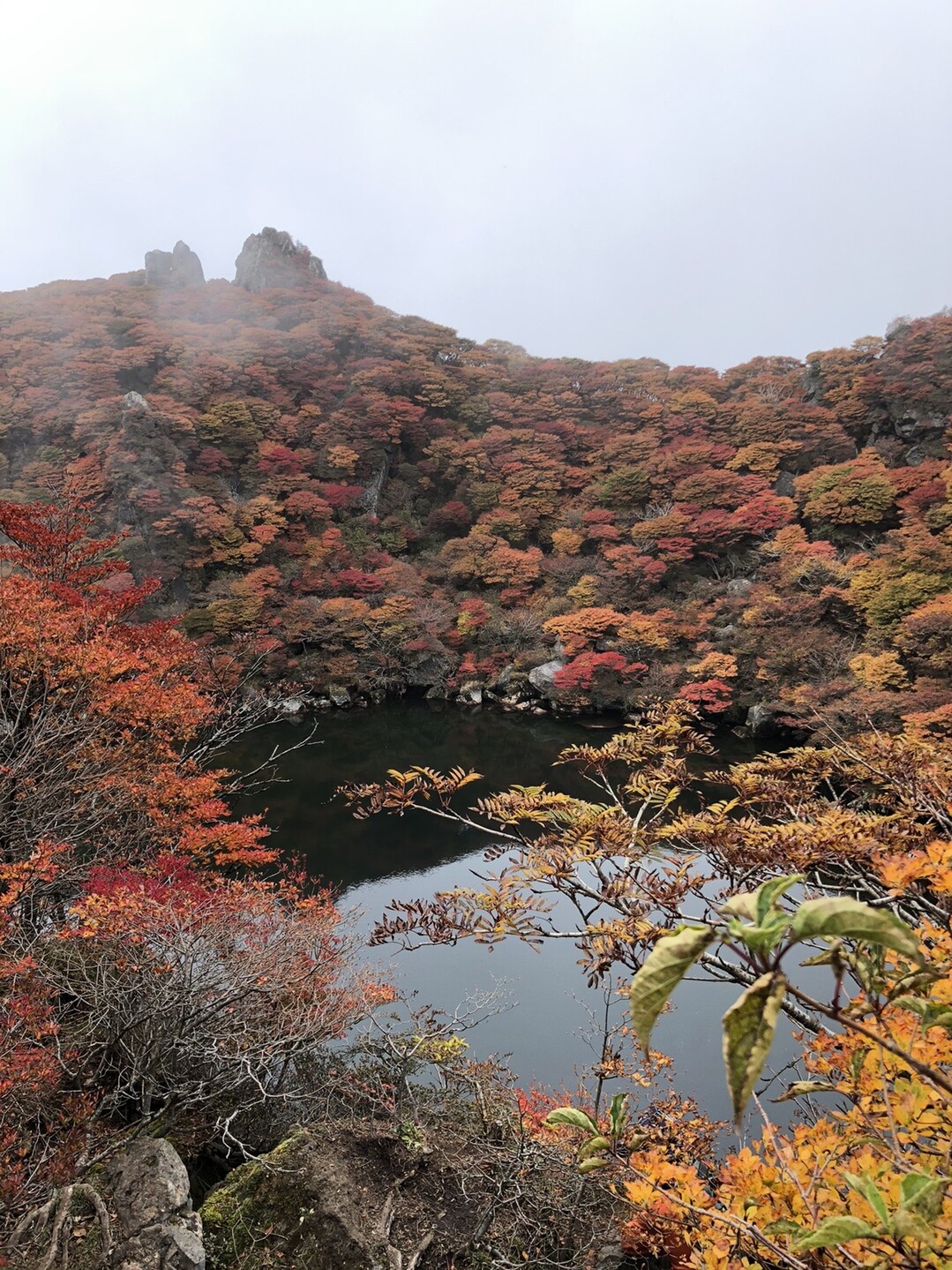 九重 大船山-2019-10-23 / churara.r.hさんの九重山（久住山）・大船山・星生山の活動日記 | YAMAP / ヤマップ