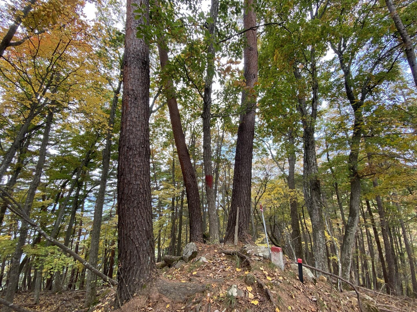 Hase100さんの投稿したフィールドメモ | YAMAP / ヤマップ