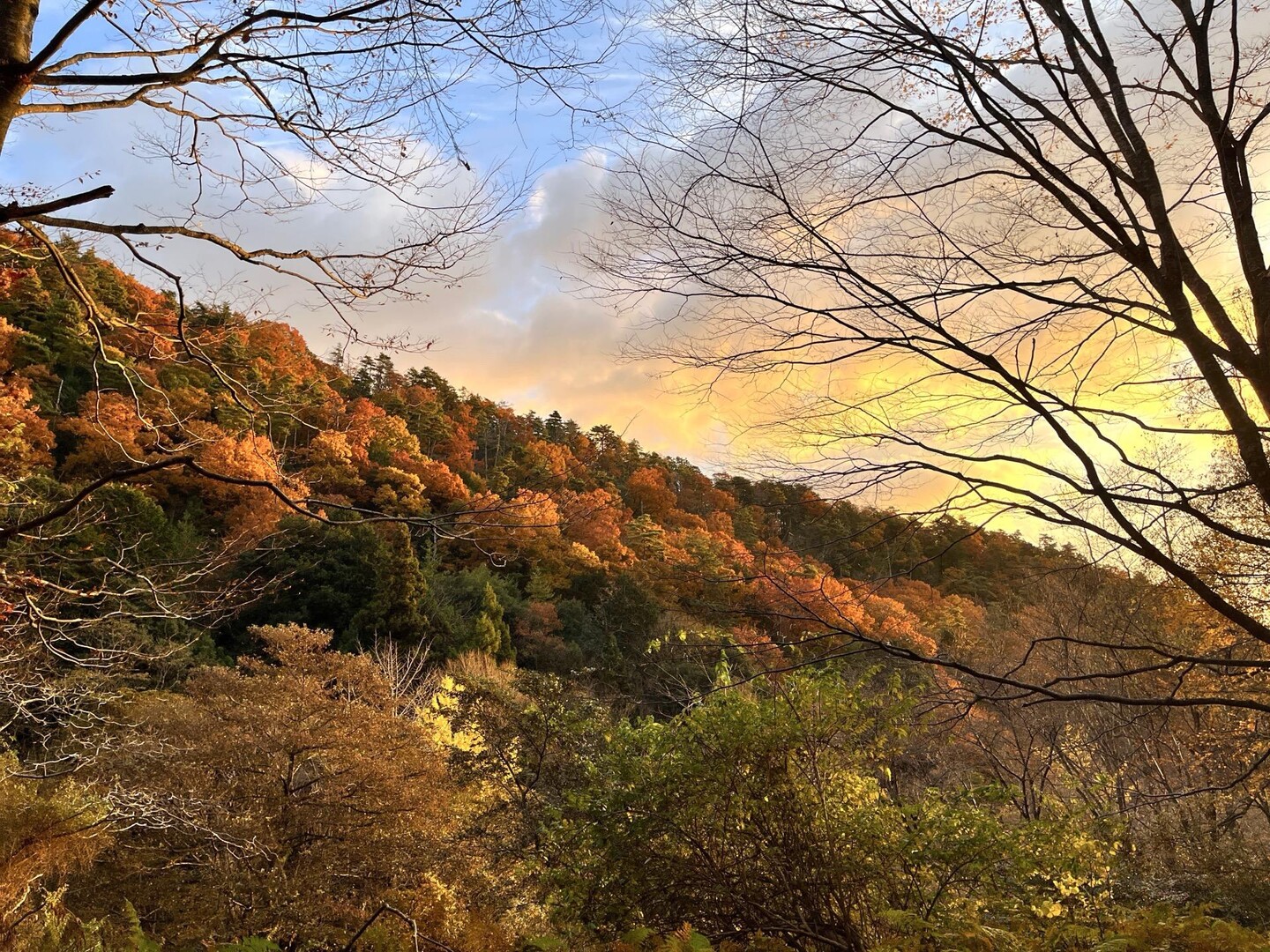 晩秋の武奈ヶ岳🍂 / OLD HOUSEさんの比良山地・武奈ヶ岳・釈迦岳の活動日記 | YAMAP / ヤマップ