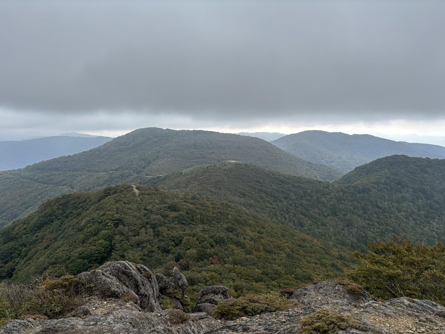 勇者会議延長戦 大将旗山・額取山 / dragon_zさんの額取山（安積山）の活動データ | YAMAP / ヤマップ