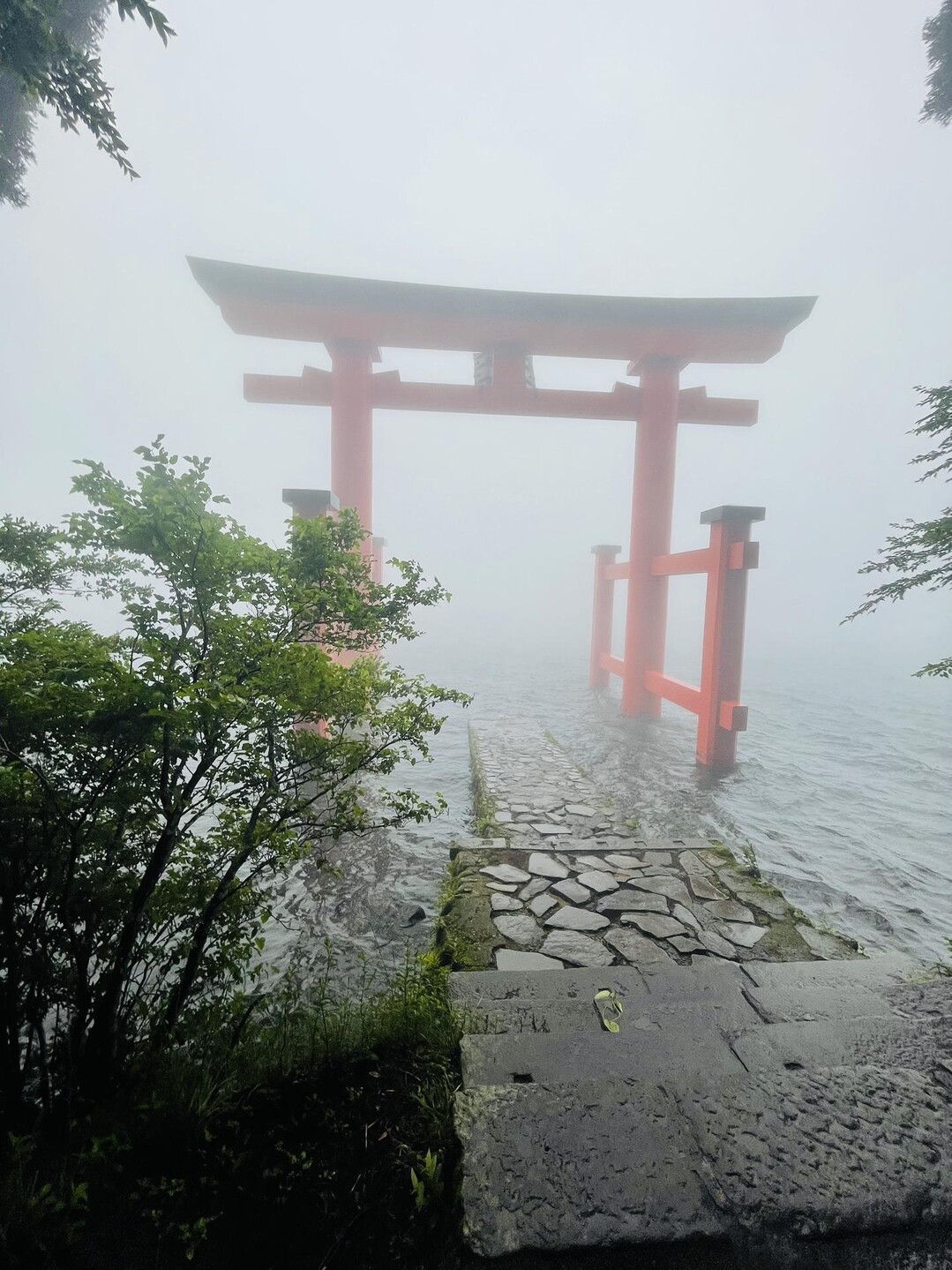 2023.6.30 家族で箱根へ。 箱根... / ayakaさんのモーメント | YAMAP / ヤマップ