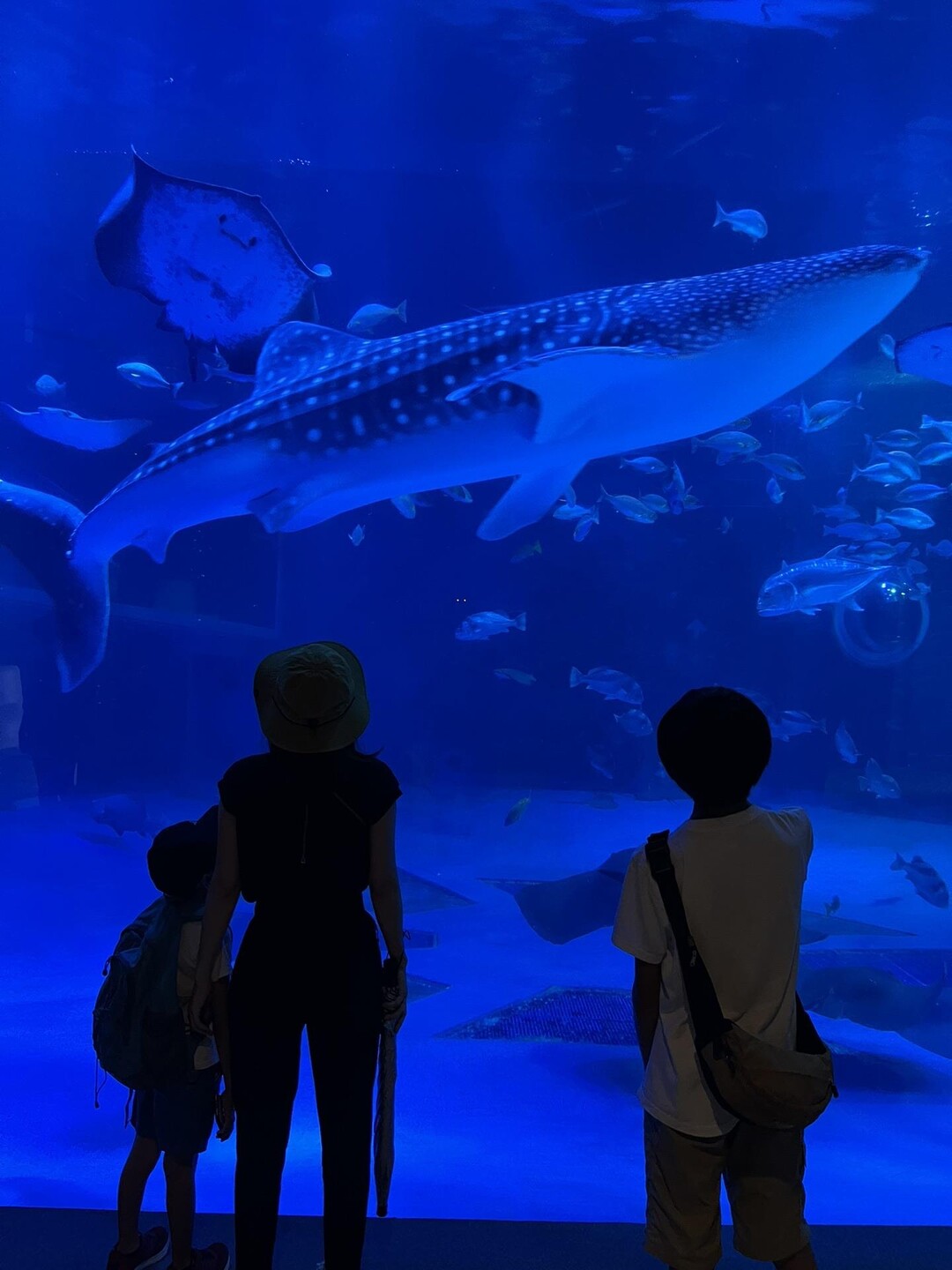 10日（木）に休暇取って石川県、福井県へ... / HIROTOさんのモーメント | YAMAP / ヤマップ