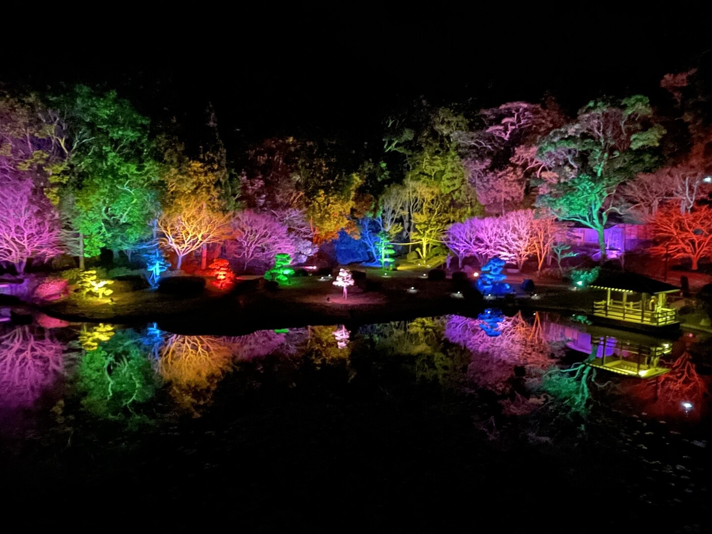 今日の1コマ / 海月さんのモーメント | YAMAP / ヤマップ