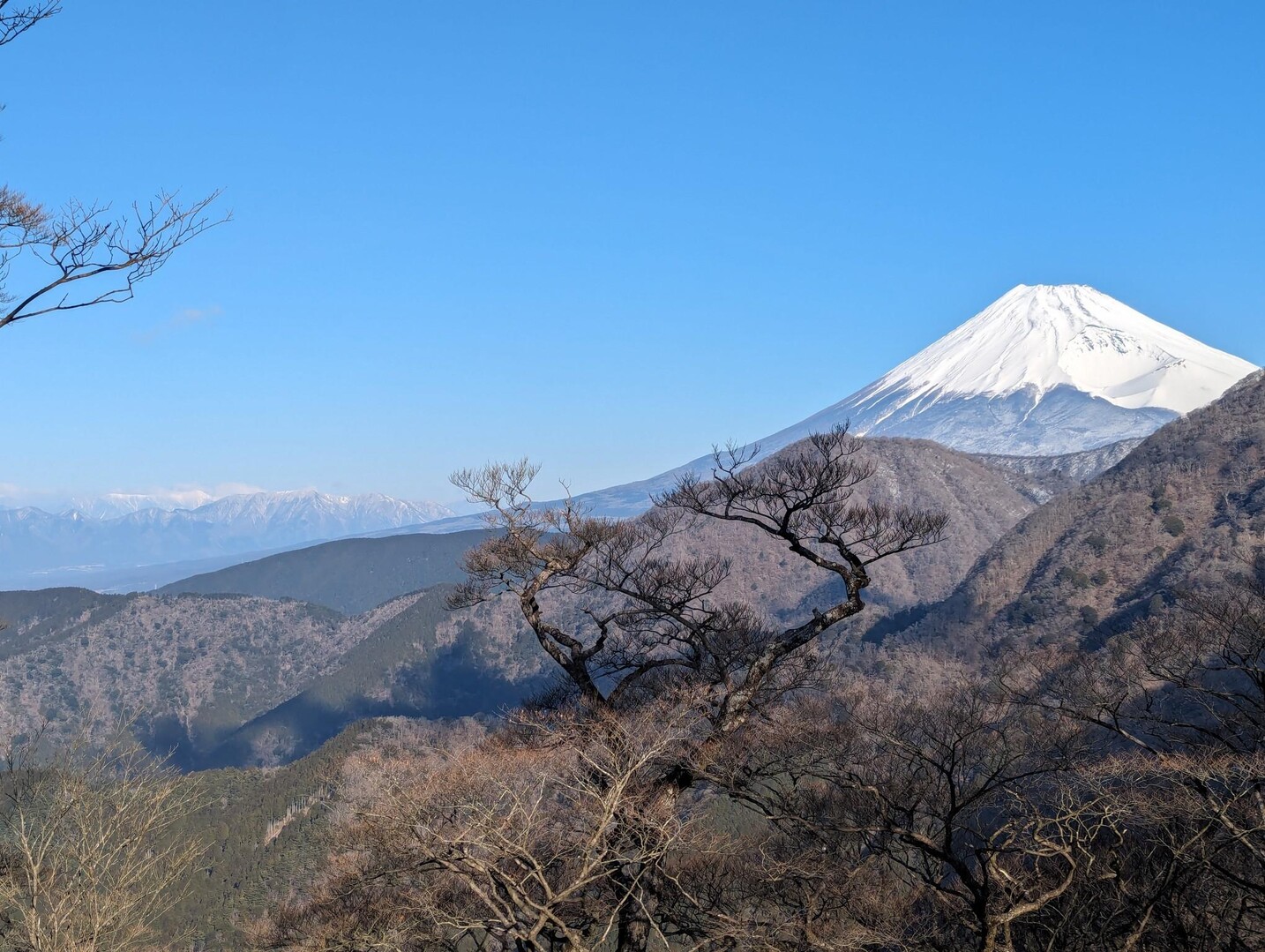 愛鷹山 / ko-riさんの愛鷹山・大岳・黒岳の活動データ | YAMAP / ヤマップ