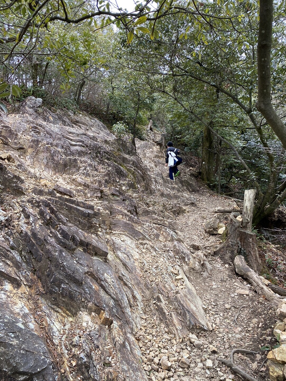金華山 / rinpeさんの金華山・洞山・舟伏山の活動日記 | YAMAP / ヤマップ