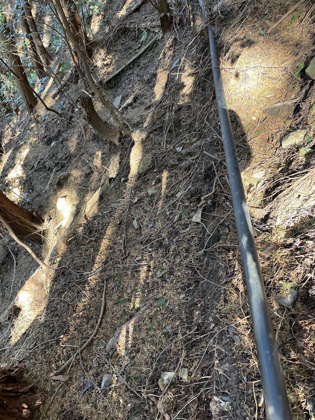 osamさんの投稿したフィールドメモ | YAMAP / ヤマップ