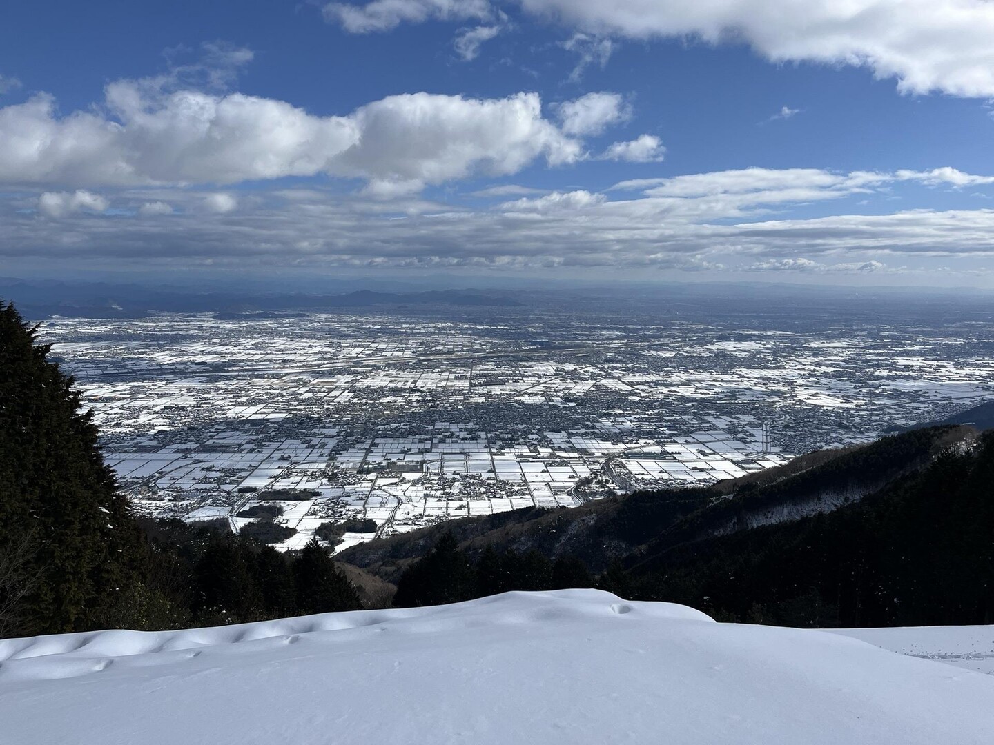 大津谷から池田山 / yuki yamaさんの池田山の活動データ | YAMAP / ヤマップ