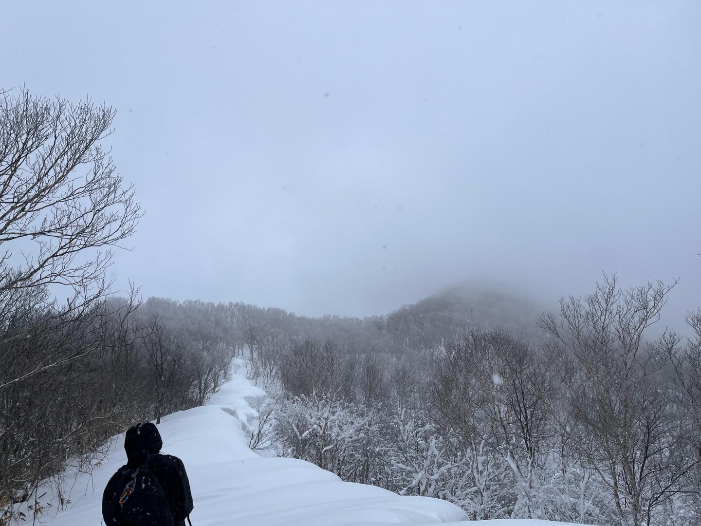 御月山🐇…AGP⛳️より / 八マンタ石さんの岩手山・八幡平・安比高原 50km トレイルの活動データ | YAMAP / ヤマップ