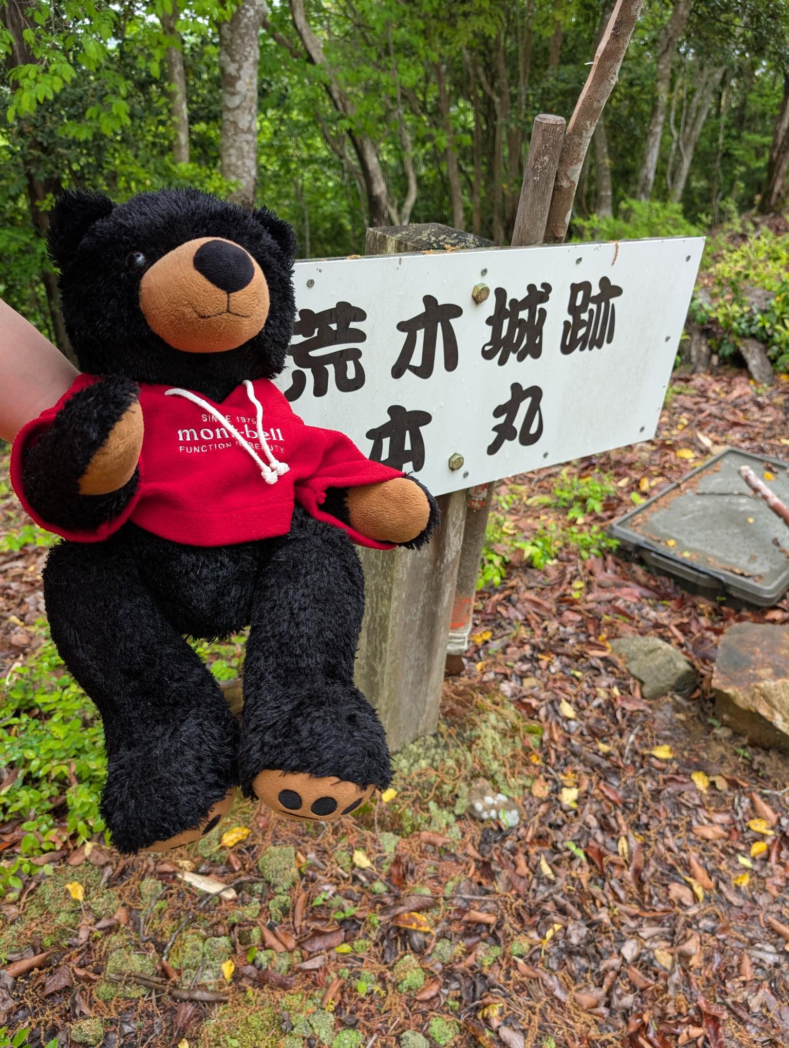 高城山-2025-05-10 / mioさんの高城山の活動データ | YAMAP / ヤマップ