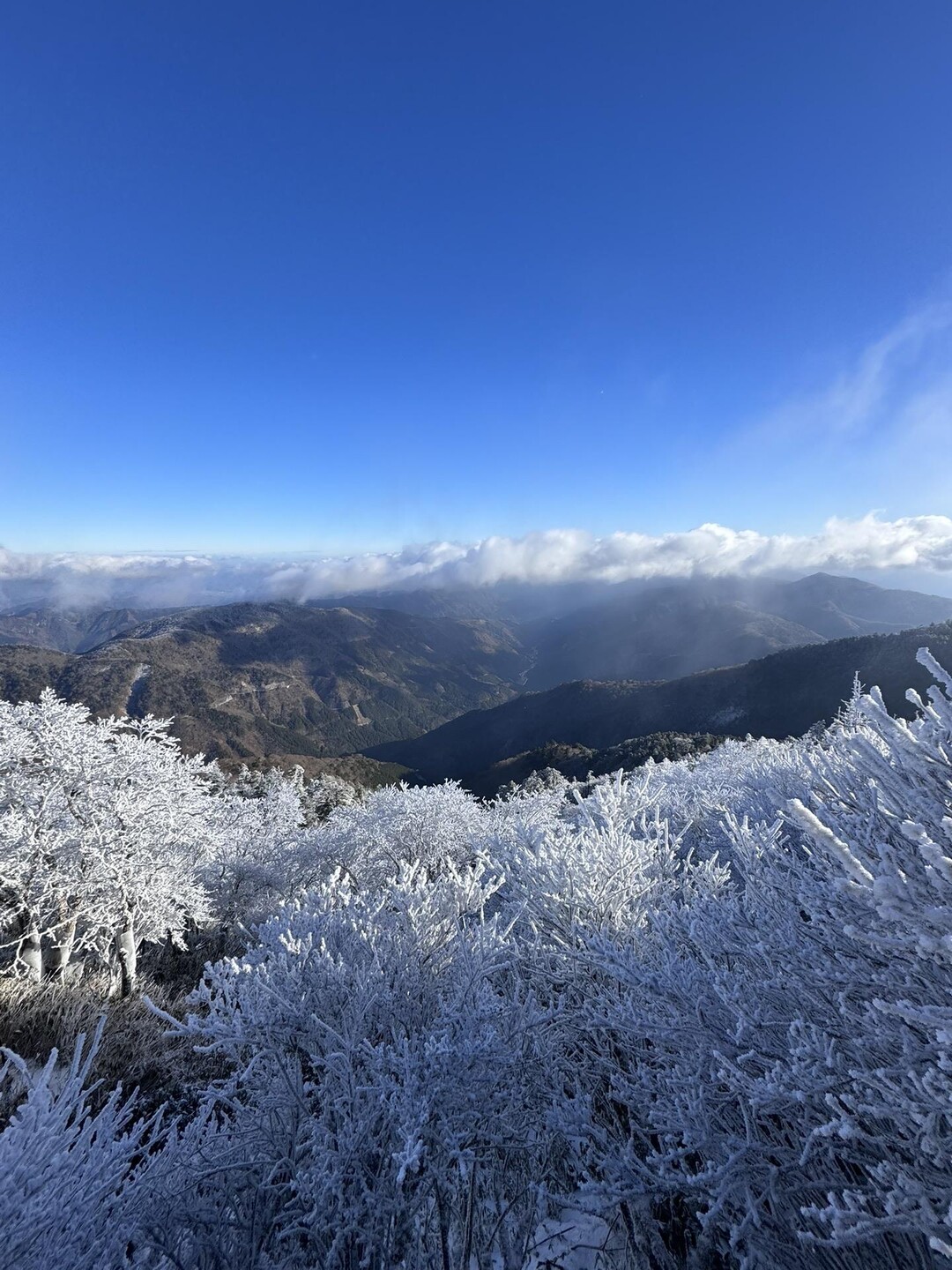 剣山 / kikiさんの剣山の活動データ | YAMAP / ヤマップ