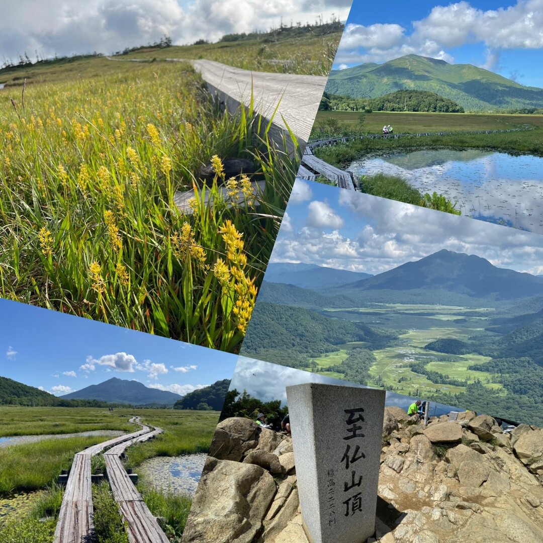 尾瀬歩き アヤメ平からの至仏山 / mmmさんの尾瀬・燧ヶ岳の活動データ | YAMAP / ヤマップ