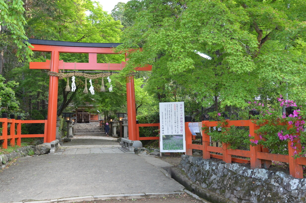 早朝、久しぶりのスクーター出動で写真を撮... / サボテンライダーt2さんのモーメント | YAMAP / ヤマップ