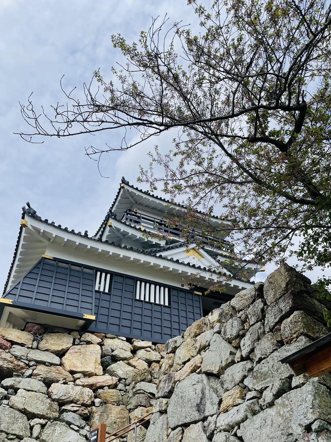 昨日から浜松へプチ遠征♪ 笑 今日は朝か... / lulu さんのモーメント | YAMAP / ヤマップ