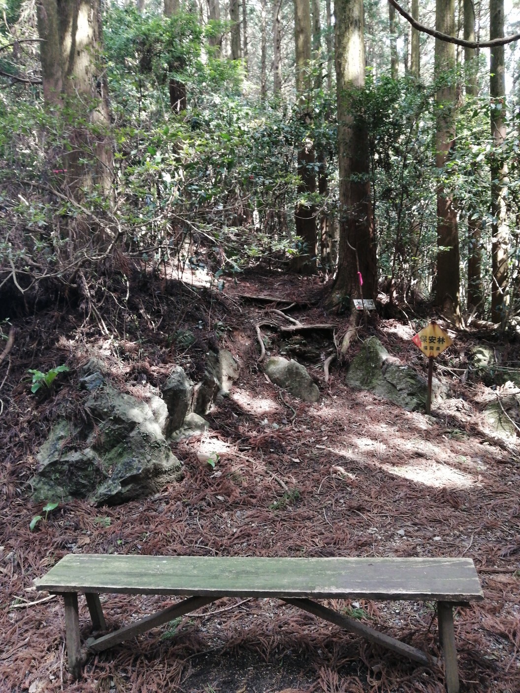 Nob ハイボール😎さんの投稿したフィールドメモ | YAMAP / ヤマップ