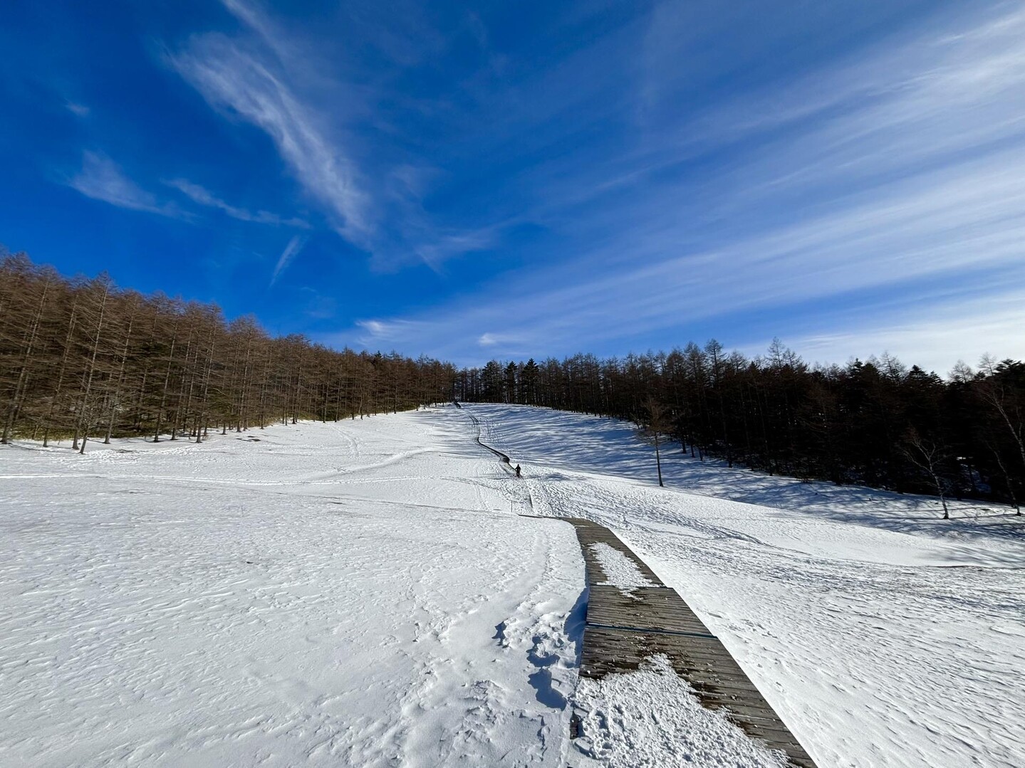 入笠山🏔️で2024ありがとう💓 / moco*さんの入笠山の活動データ | YAMAP / ヤマップ