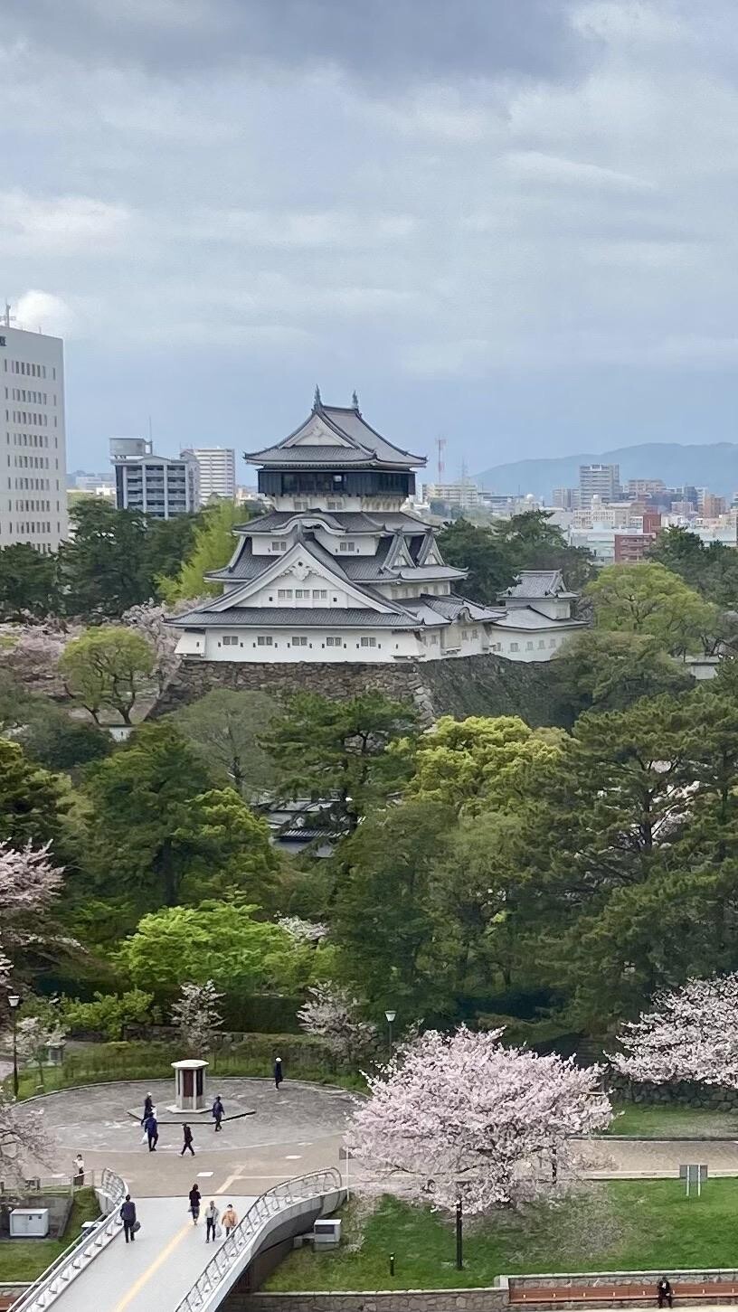 今年の🌸は見納めかなぁ。桜舞い散る小倉... / K2さんのモーメント | YAMAP / ヤマップ