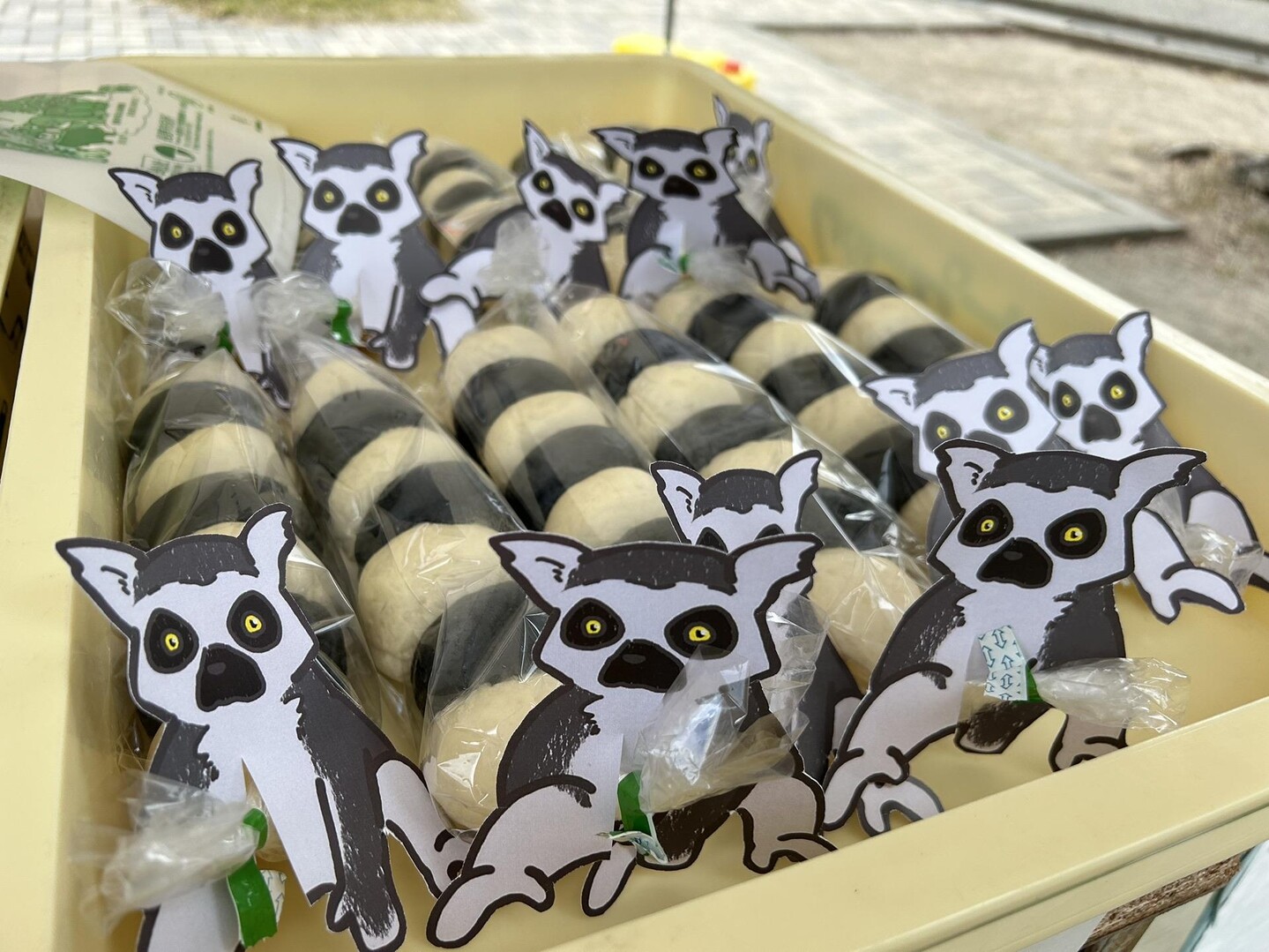 ワオキツネザル の しっぽパン / Keiさんの地附山・大峰山・葛山の活動データ | YAMAP / ヤマップ