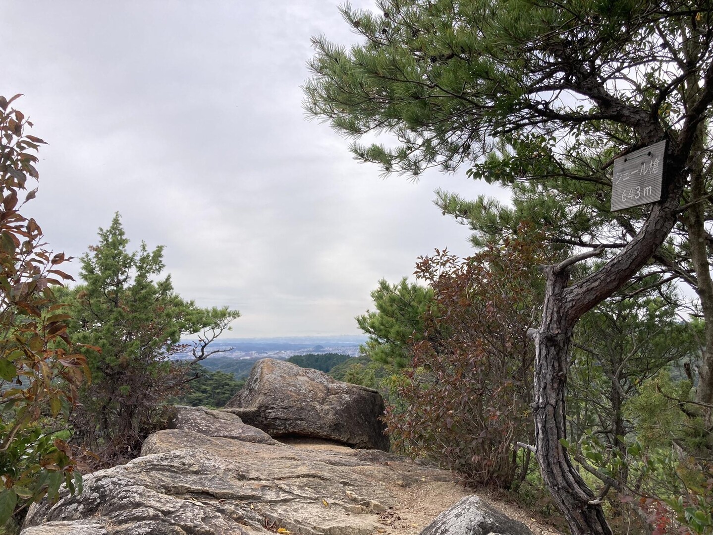 摩耶山と穂高湖周辺 / Tomyさんの六甲山・長峰山・摩耶山の活動データ | YAMAP / ヤマップ