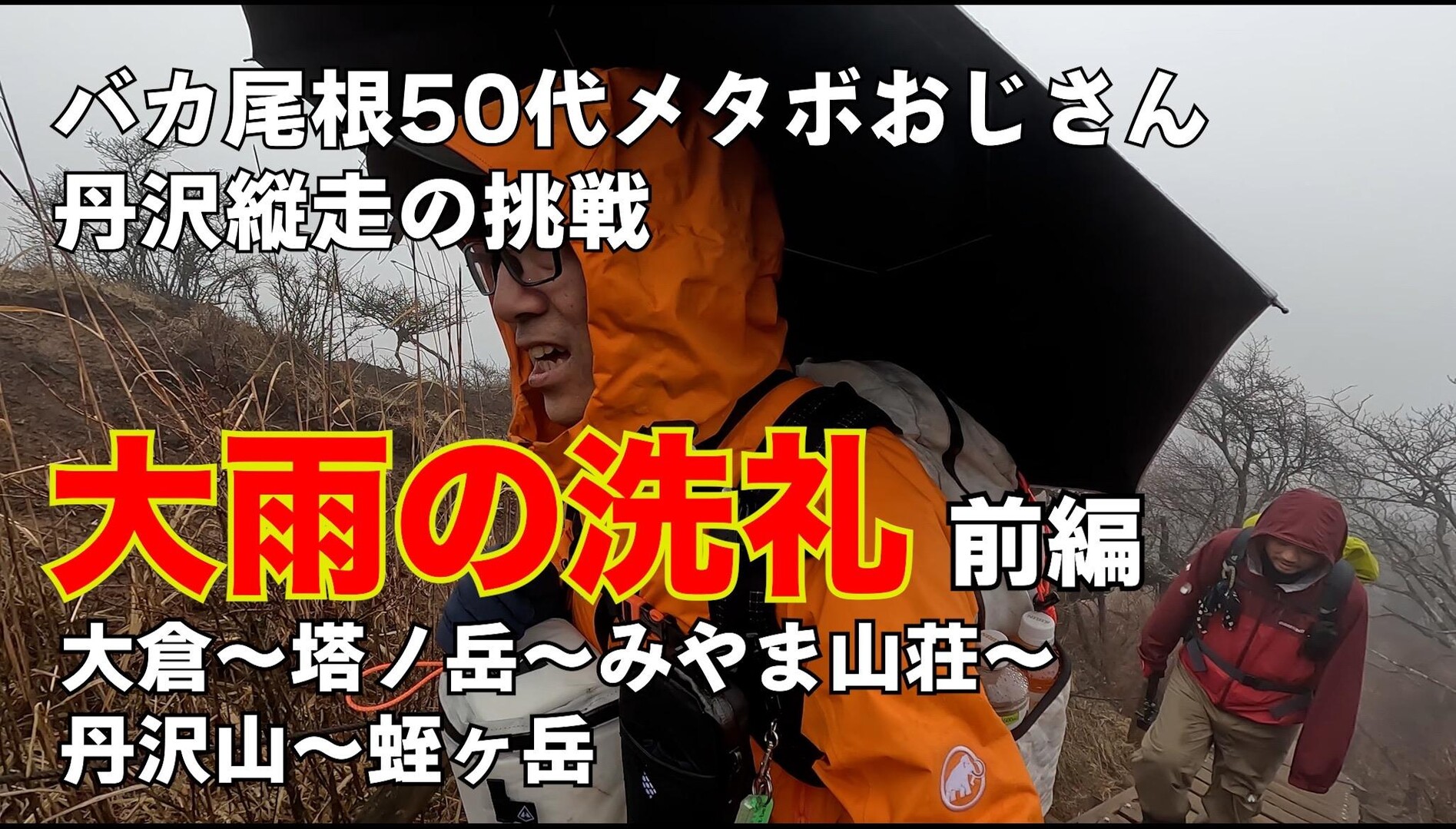【塔ノ岳】大雨のバカ尾根塔ノ岳・丹沢山・... / seijiさんのモーメント | YAMAP / ヤマップ