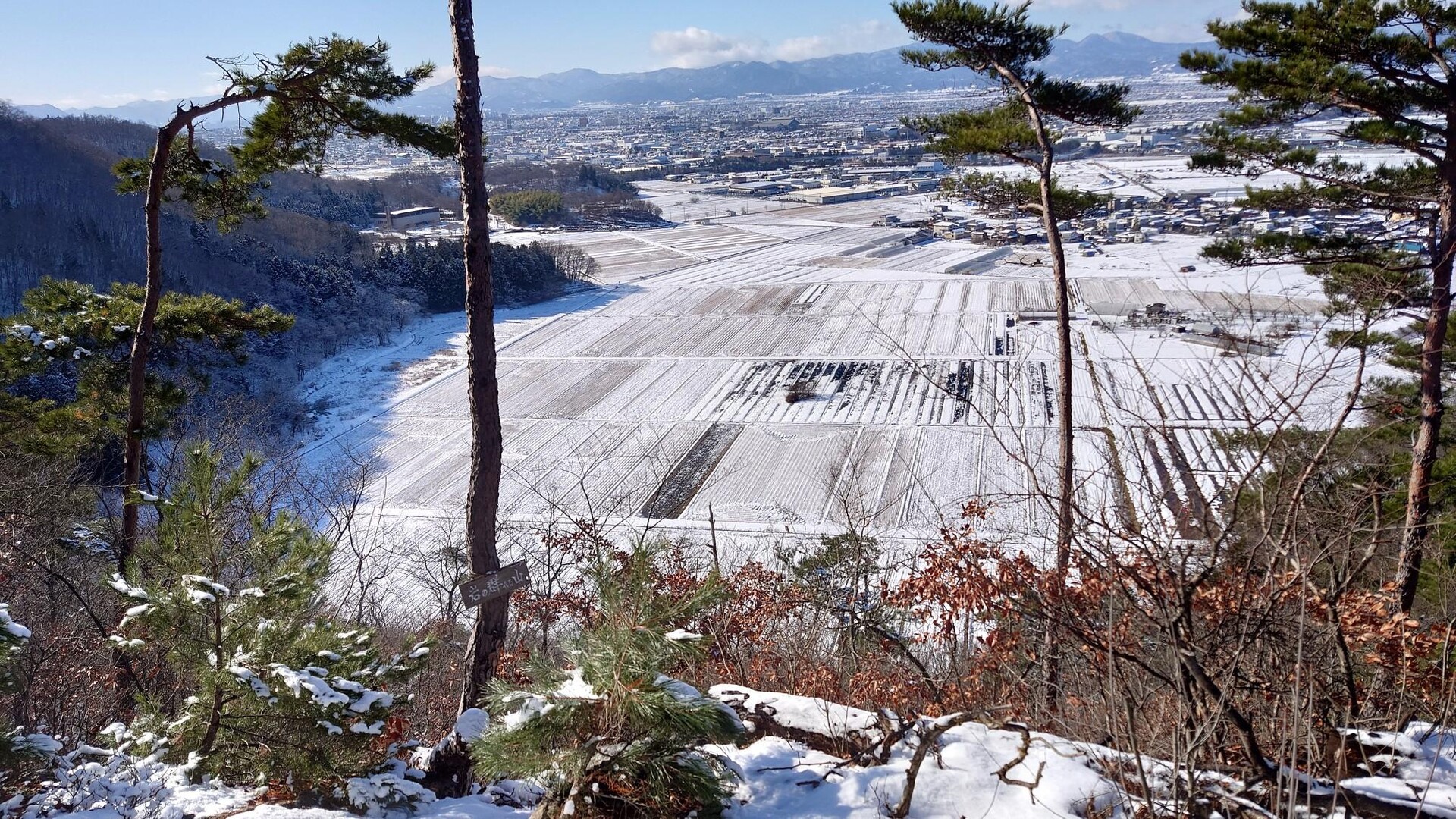 2024山納め小菰石山・大岡山 / rukyさんの大岡山・小菰石山の活動データ | YAMAP / ヤマップ
