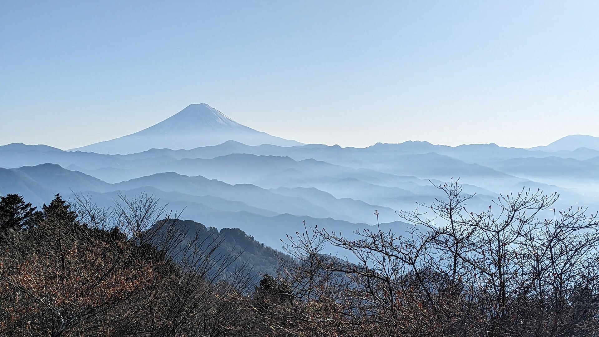 久々の25km超えピークハント😄絶景の倉掛山稜線😍&鶏冠山⛰️山梨百#91 / denaliさんの倉掛山・鈴庫山・小倉山の活動データ | YAMAP / ヤマップ