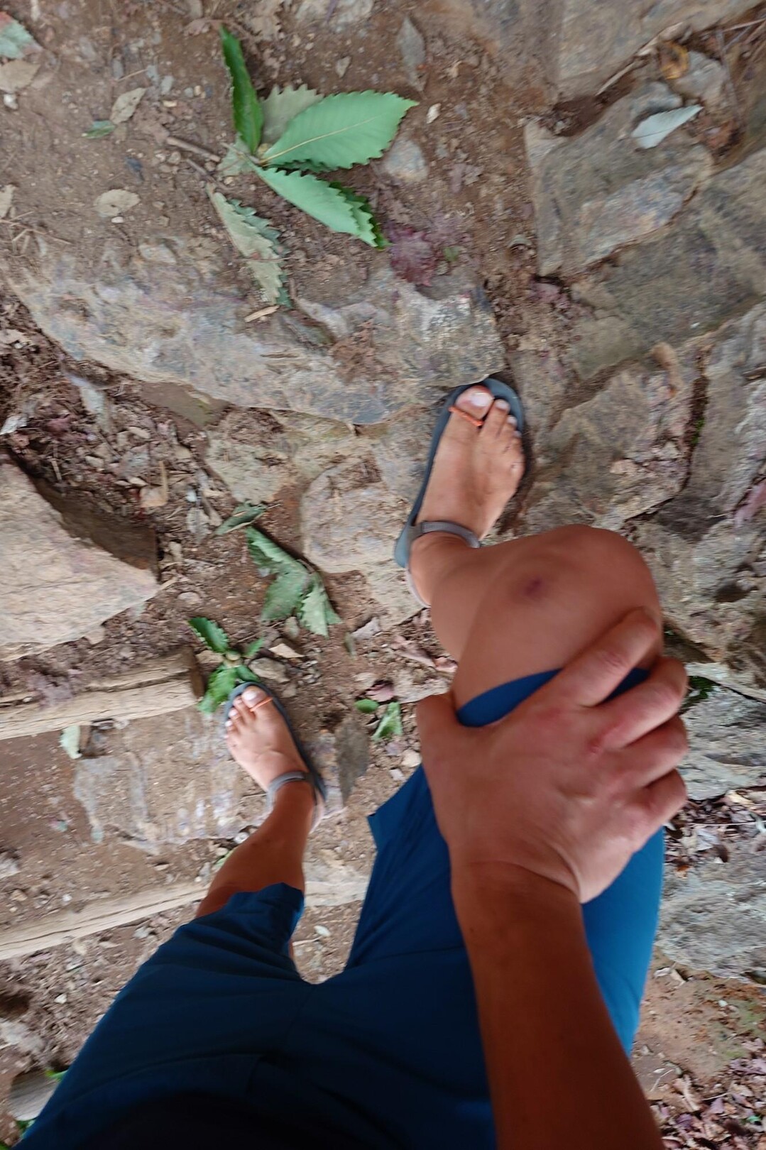 今朝も30分切れず Wt+5kg 31分登頂 / ta2さんの鳴神山・吾妻山の活動データ | YAMAP / ヤマップ