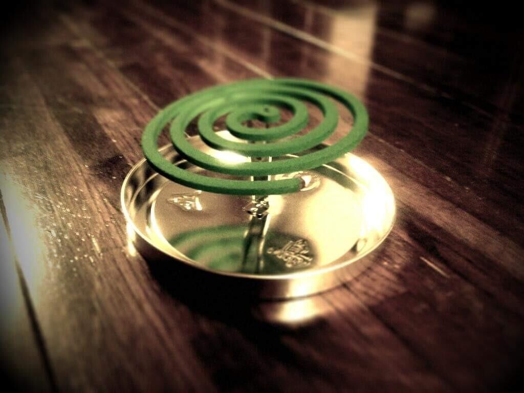 level苺のページ | YAMAP / ヤマップ