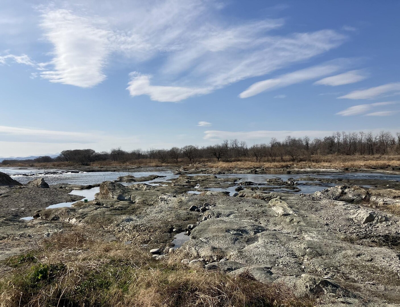 先日の化石掘り 不思議な世界 / yamameさんのモーメント | YAMAP / ヤマップ