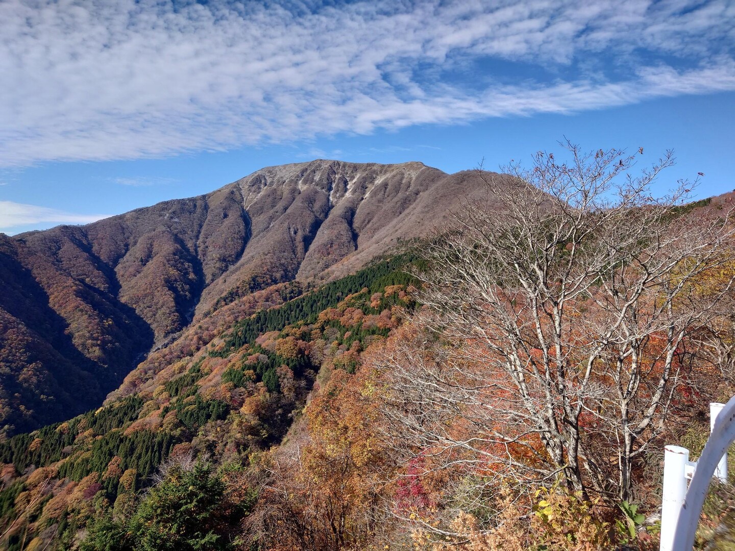 伊吹山 / きなこもちさんの伊吹山・伊吹高原・御座峰の活動データ | YAMAP / ヤマップ