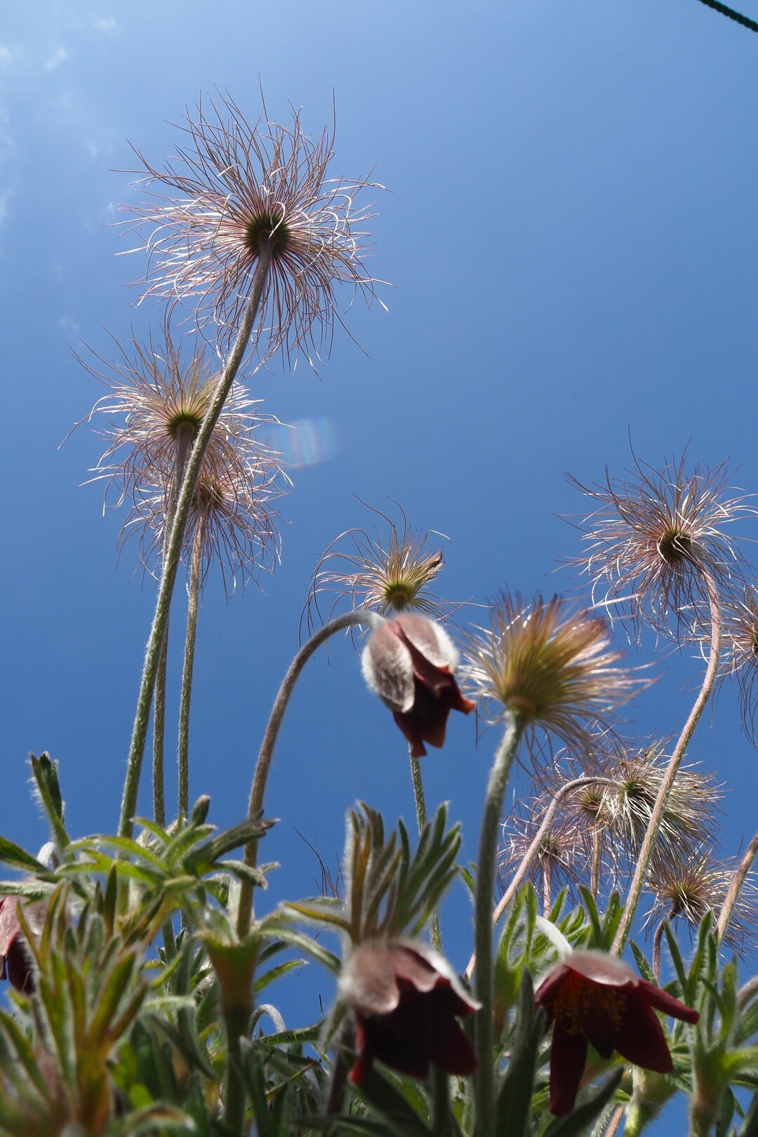 入学式終わって、コンビニでおにぎり🍙を... / gongonさんのモーメント | YAMAP / ヤマップ