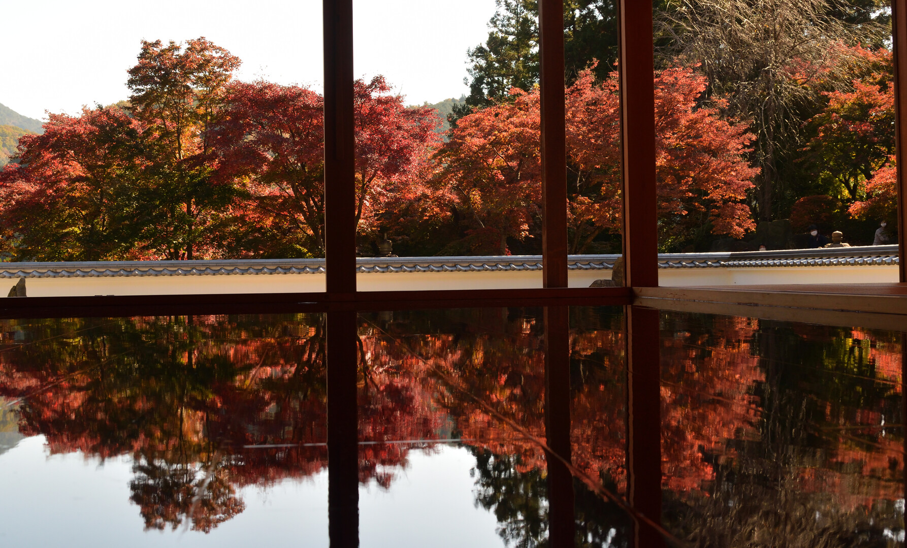 床もみじ と 鳴神山 / nm25さんの鳴神山・吾妻山の活動データ | YAMAP / ヤマップ
