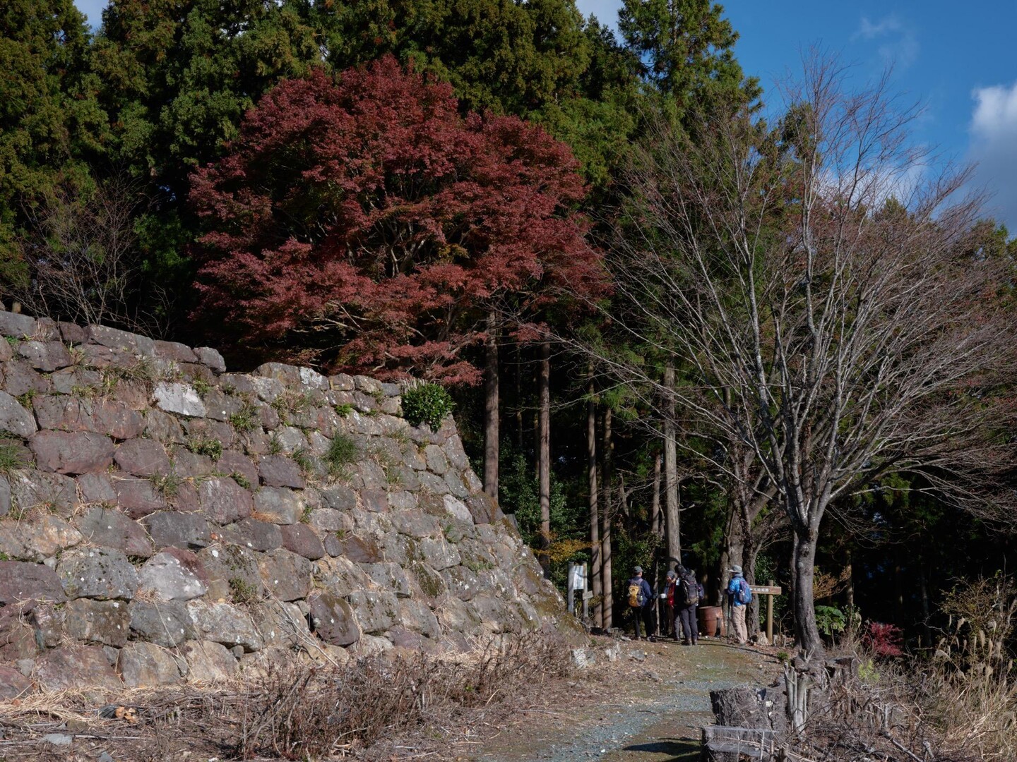 光明山 / linさんの光明山の活動データ | YAMAP / ヤマップ
