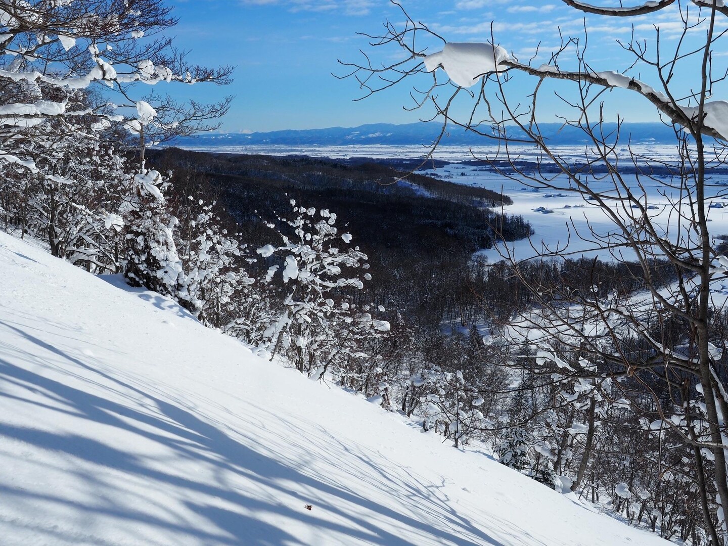 昨日の反省を生かして分監山へ / rucolaさんの神居尻山・ピンネシリの活動データ | YAMAP / ヤマップ