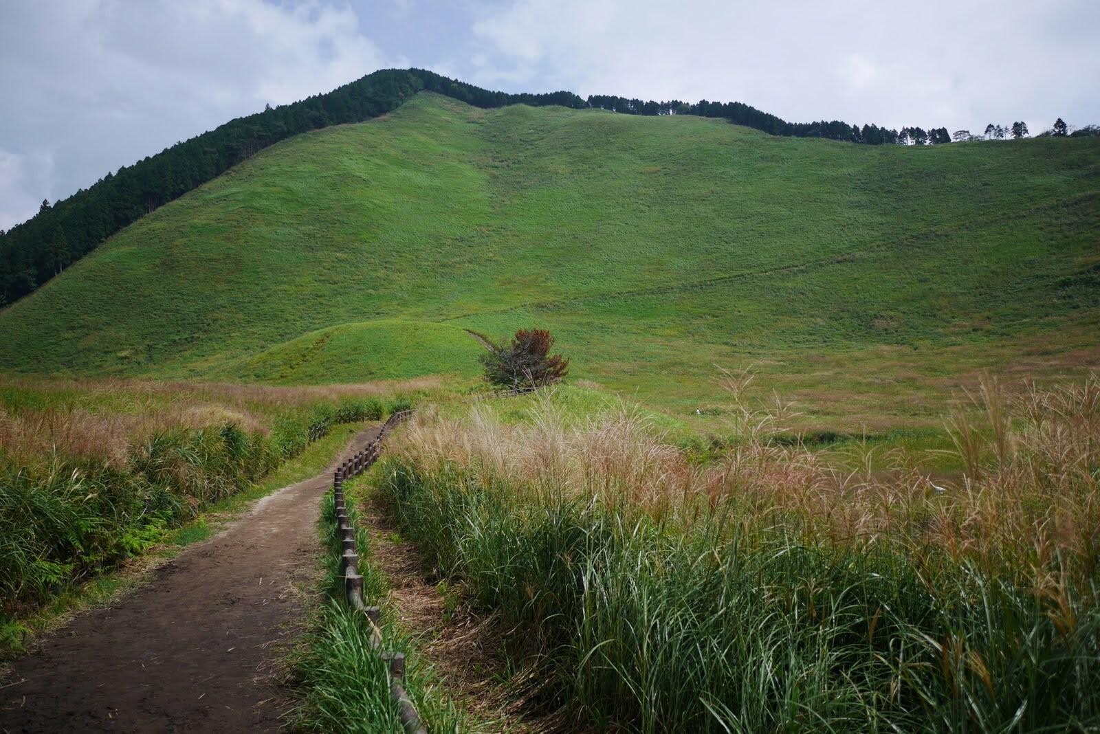 曽爾高原 / yshrtrdさんの倶留尊山・曽爾高原・古光山の活動データ | YAMAP / ヤマップ