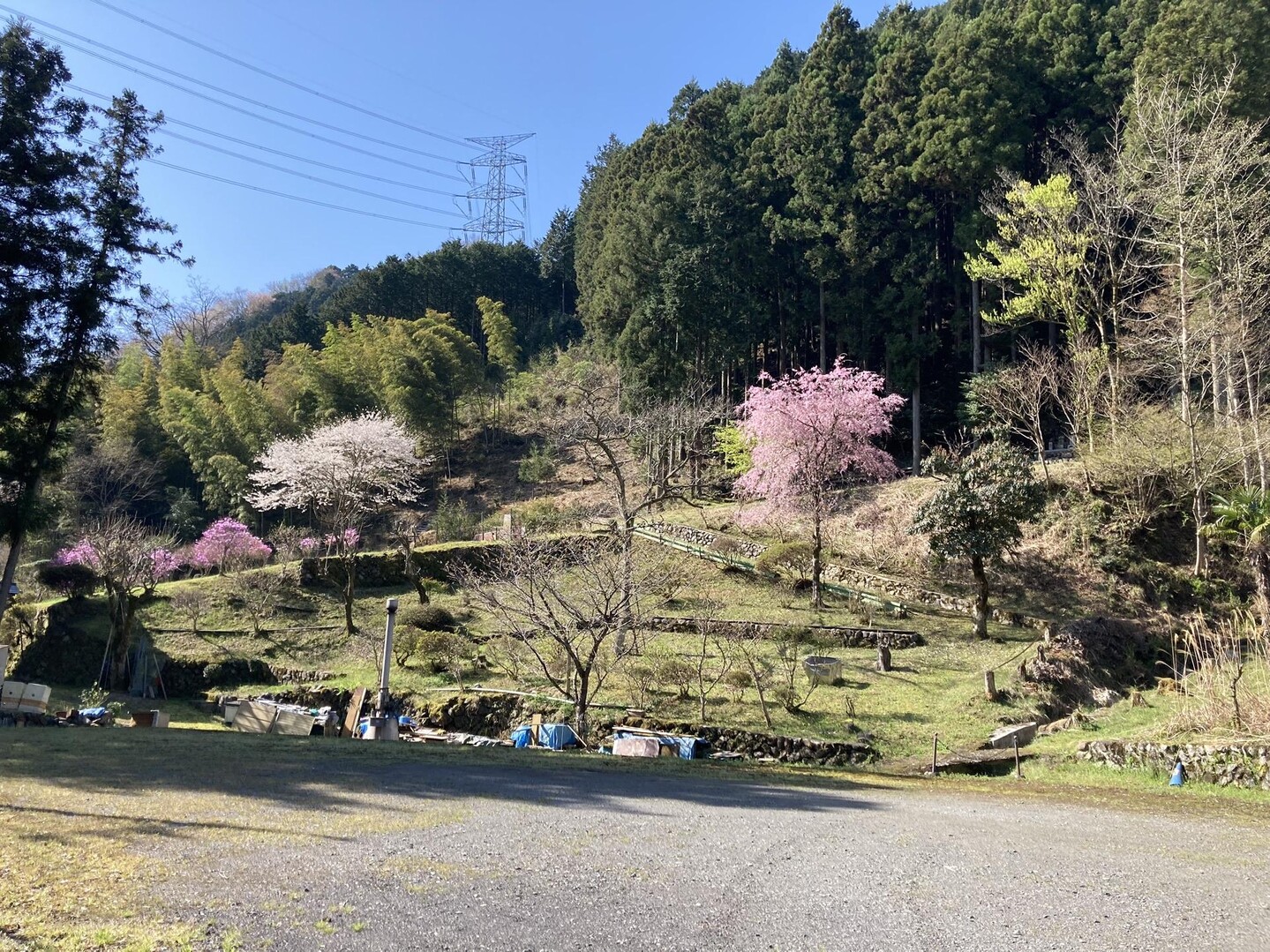 高水山・岩茸石山・馬仏山・惣岳山 / yhさんの高水山・岩茸石山・惣岳山の活動データ | YAMAP / ヤマップ